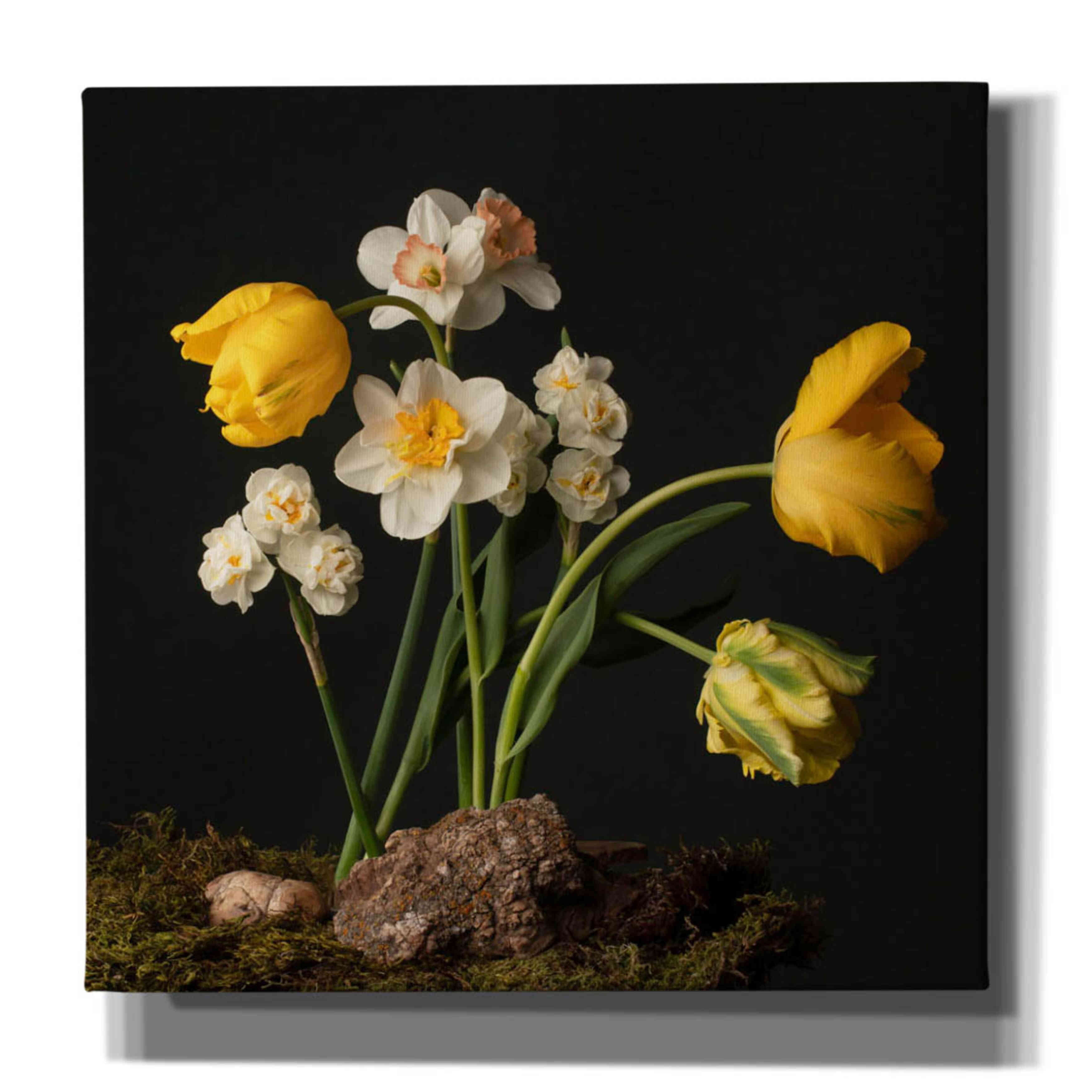 Epic Graffiti 'Signs of Spring' by Leah McLean,, 18"x18" - Walmart.com