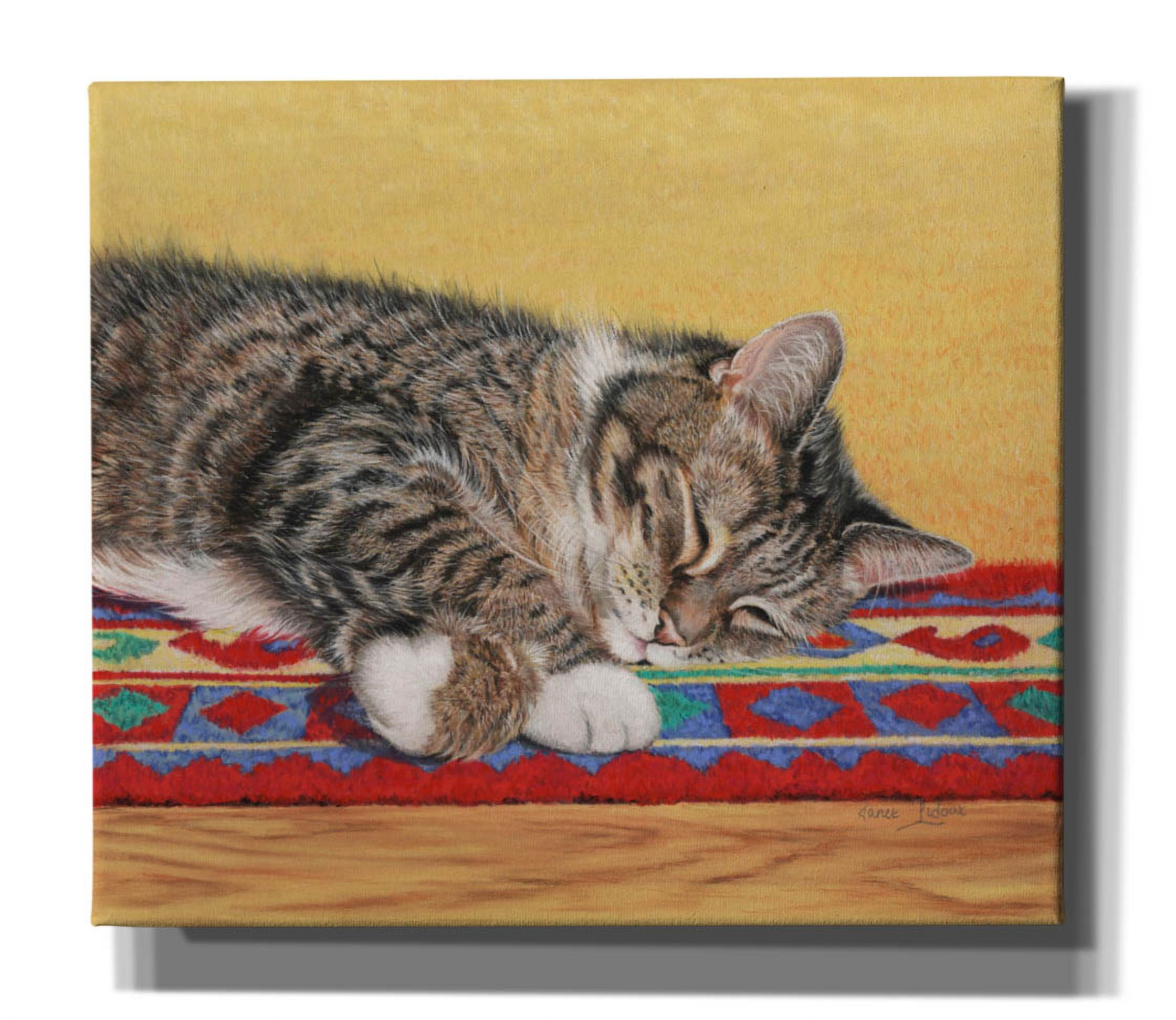 Epic Graffiti 'Sleepy Sam' by Janet Pidoux, Canvas Wall Art, 30"x26 ...
