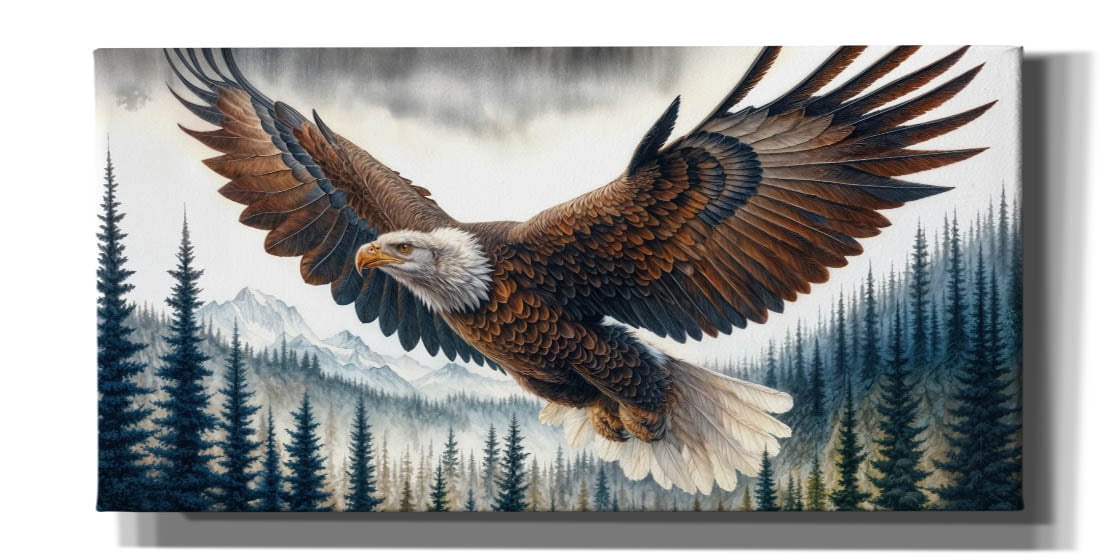 Epic Graffiti 'Soaring Bald Eagle 4' by Rey Klimt Canvas Wall Art, 24" x 12" - Walmart.com