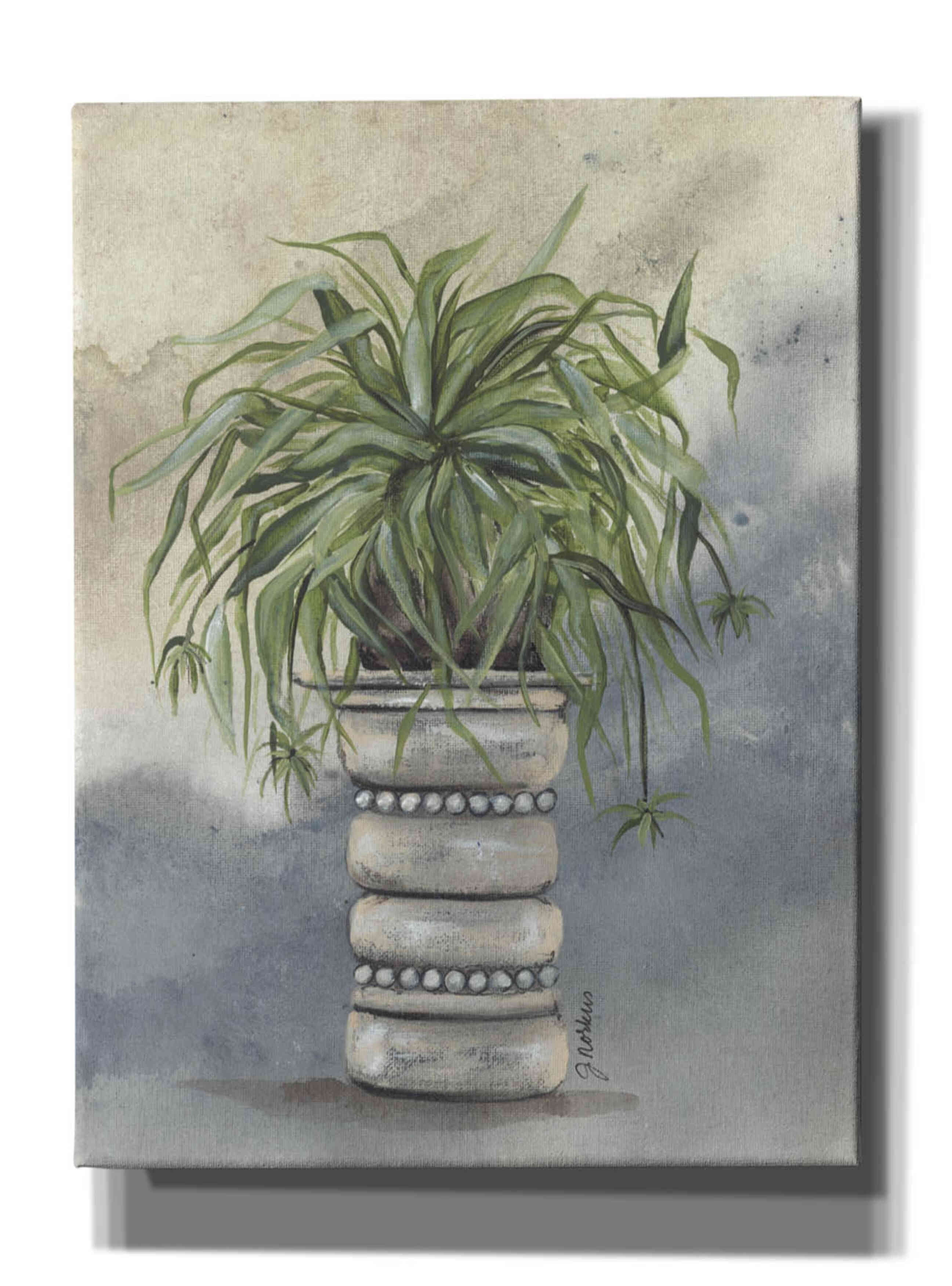 Epic Graffiti 'Spider Plant in Pottery' by Julie Norkus, Giclee Canvas ...