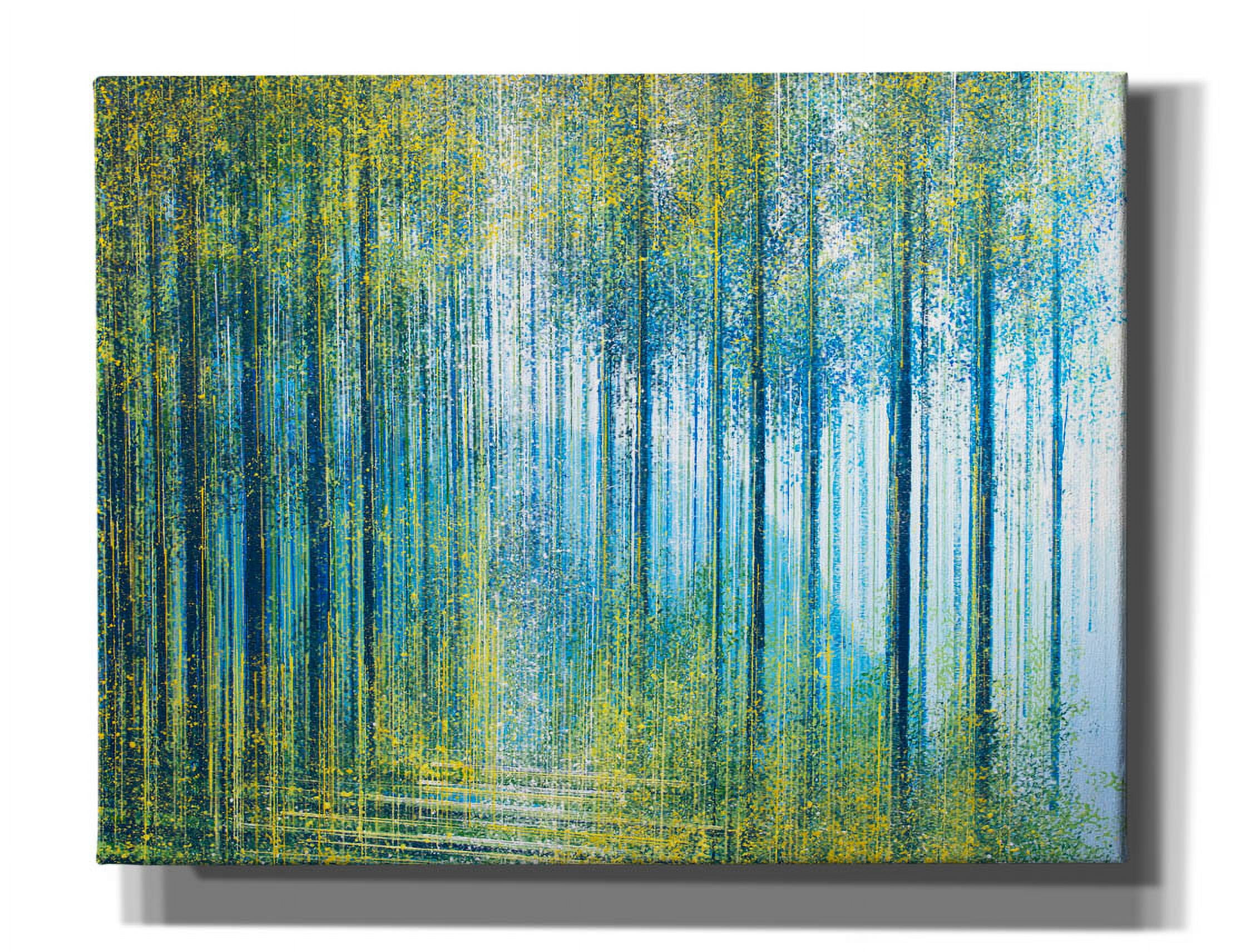 Epic Graffiti 'Spring Light In The Forest' by Marc Todd, Canvas Wall ...