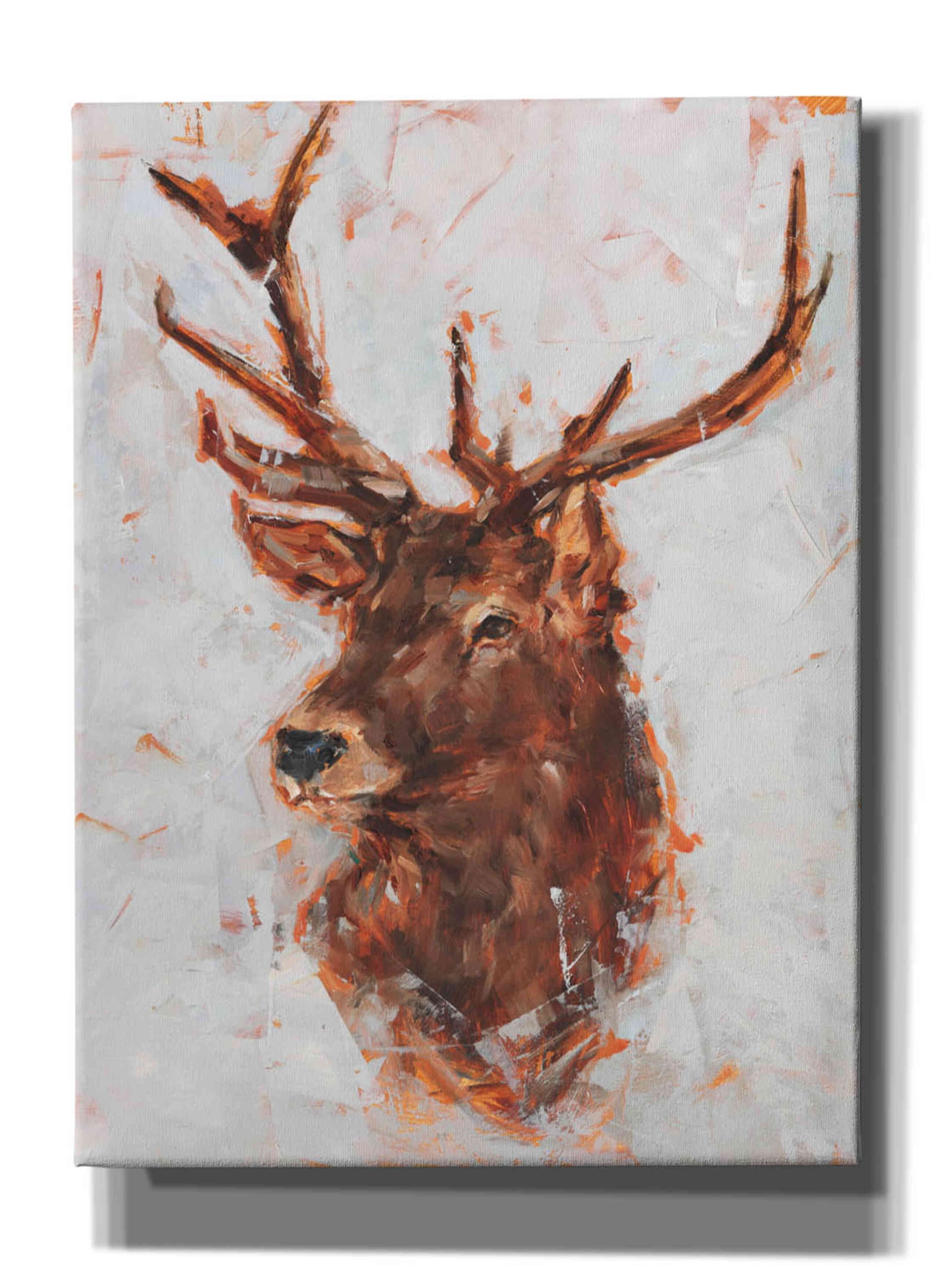 Epic Graffiti 'Stag Study I' by Ethan Harper, Canvas Wall Art, 40"x54 ...