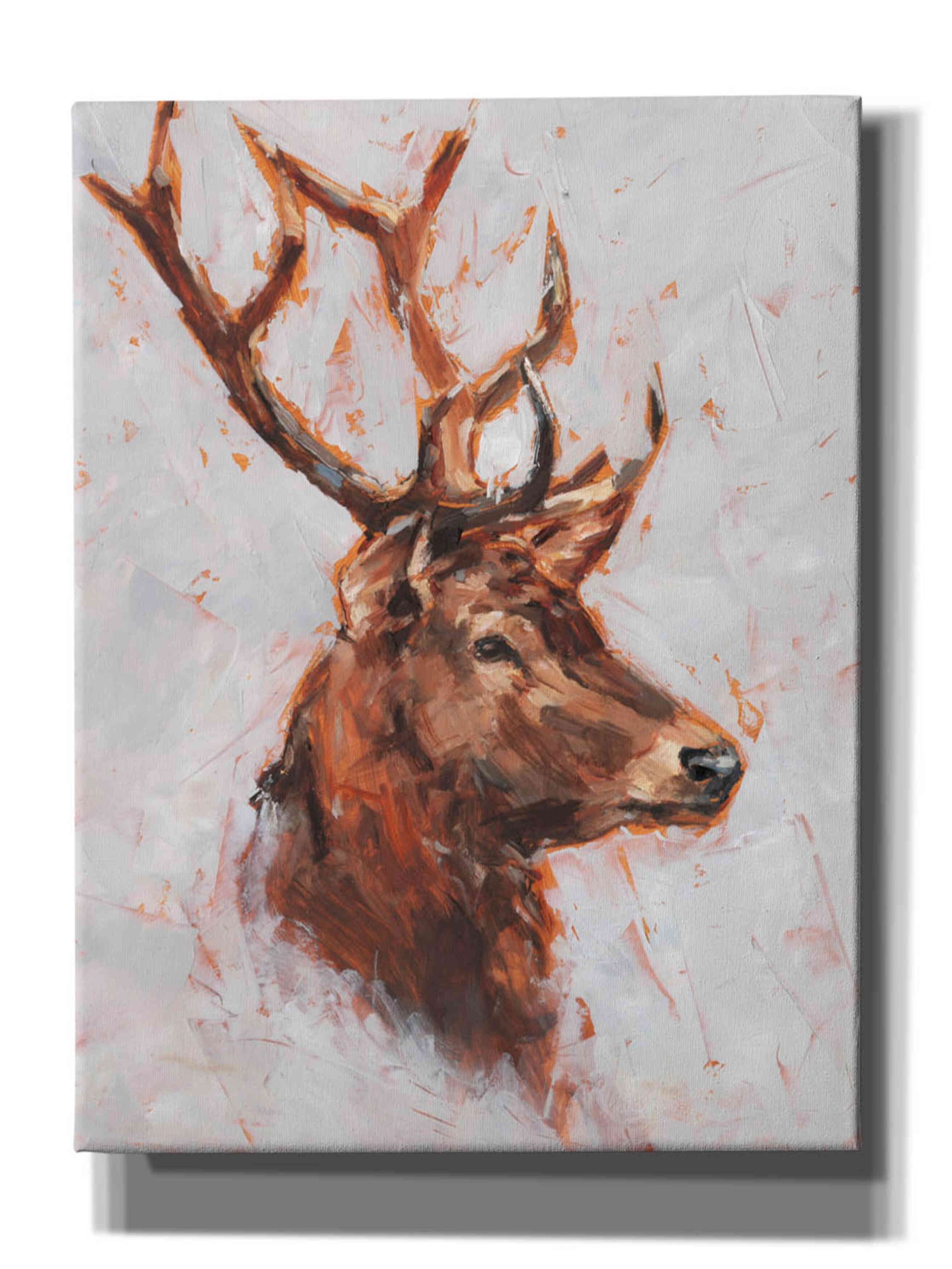 Epic Graffiti 'Stag Study II' by Ethan Harper, Canvas Wall Art, 12"x16 ...