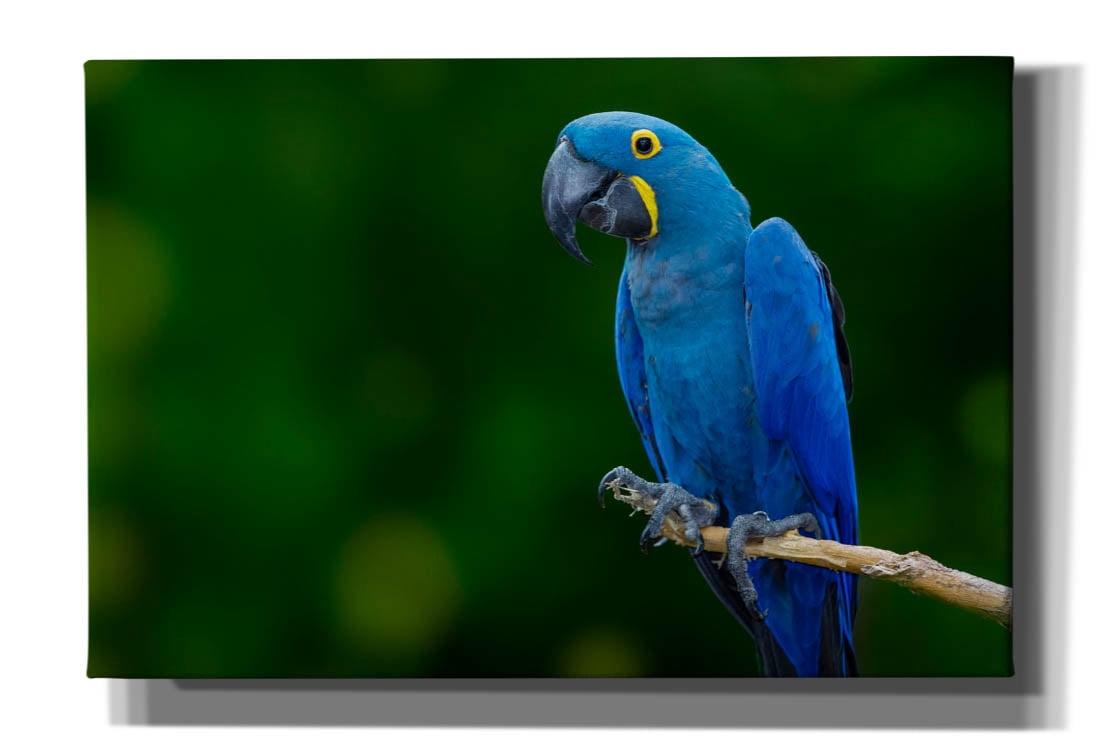 Epic Graffiti 'Standing Alone' by Jonathan Ross, Canvas Wall Art, 18 ...