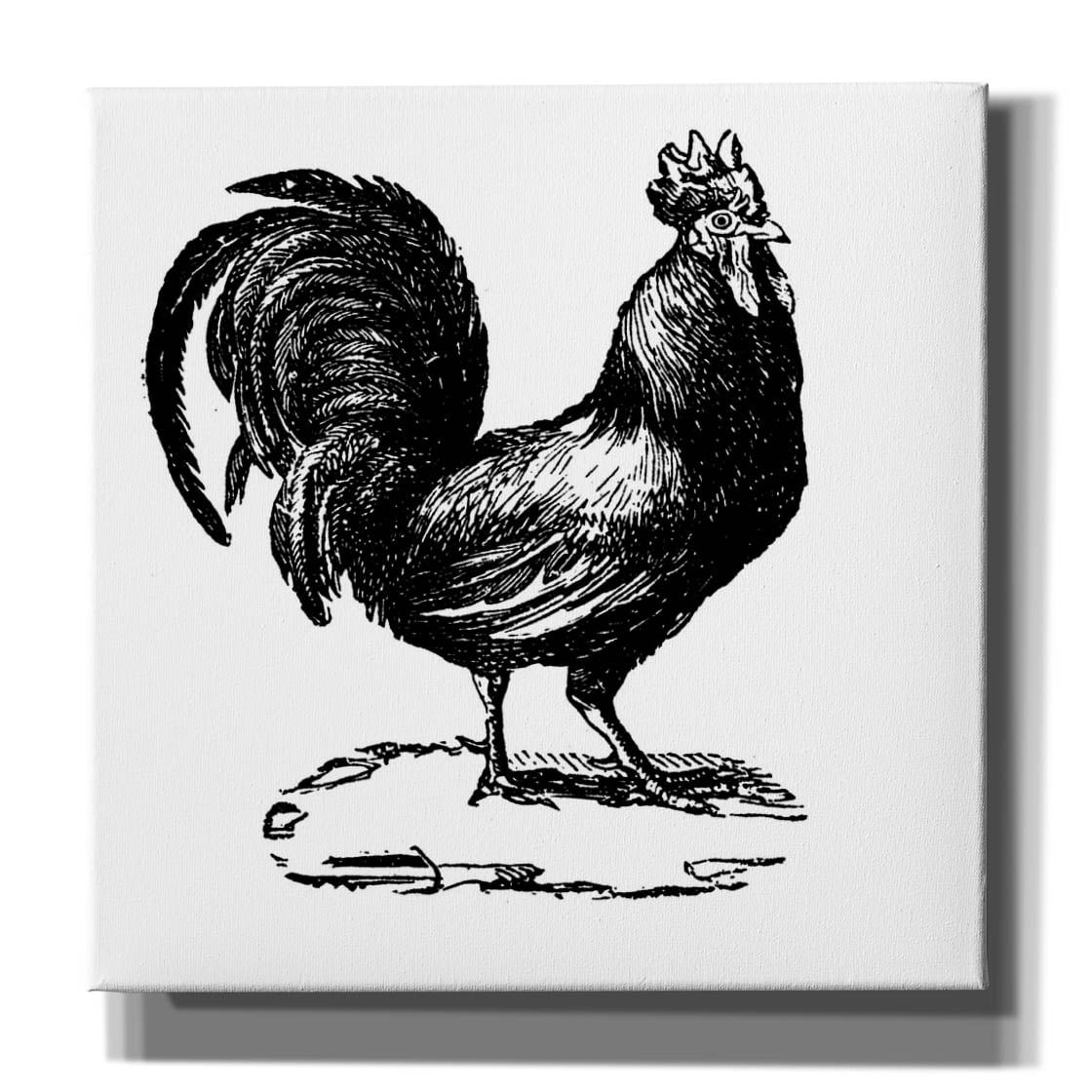 Epic Graffiti 'Standing Rooster' by Art Licensing Studio Canvas Wall ...