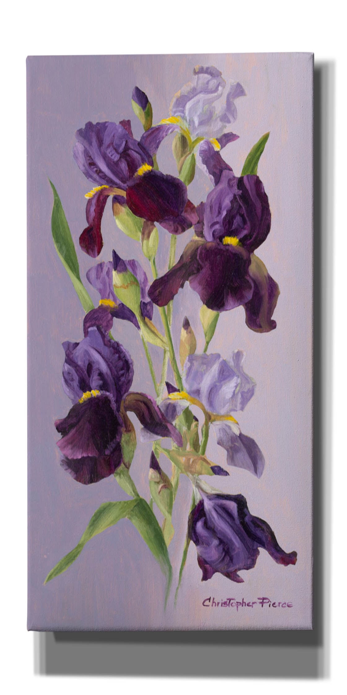 Epic Graffiti 'Study In Lavender And Purple' by Christopher Pierce ...