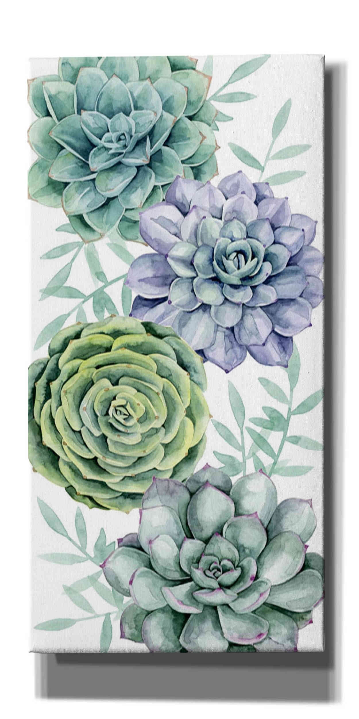 Epic Graffiti 'Succulent Swatch Collection B' by Grace Popp Giclee ...