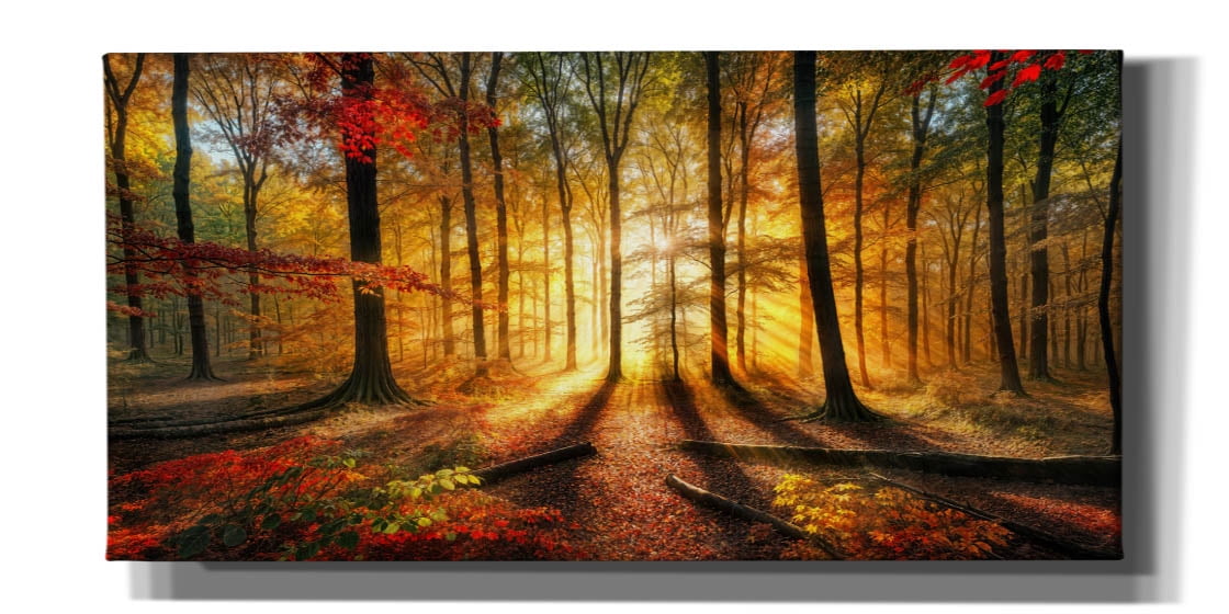 Epic Graffiti 'Sunrise In Fall Forest' by Rey Klimt Canvas Wall Art, 24 ...