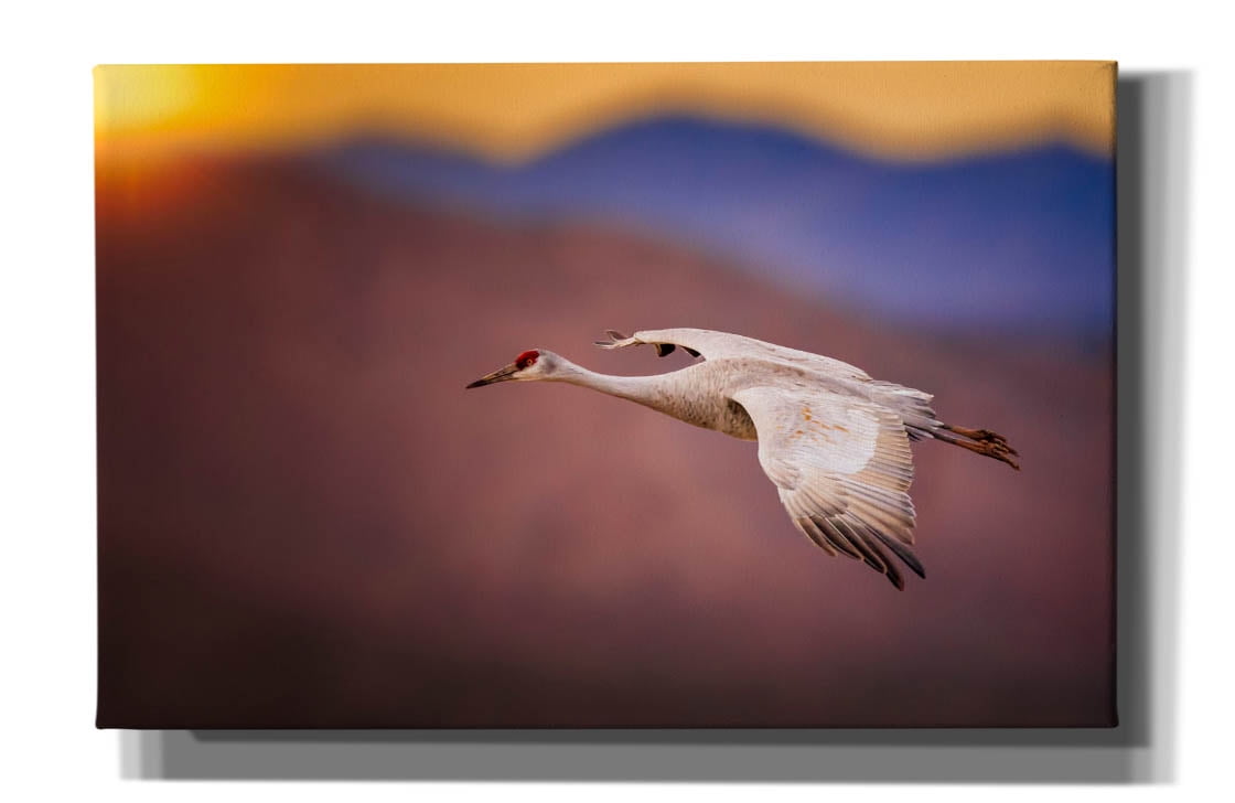 Epic Graffiti 'Sunset Flight' by Jonathan Ross, Canvas Wall Art, 40"x26 ...