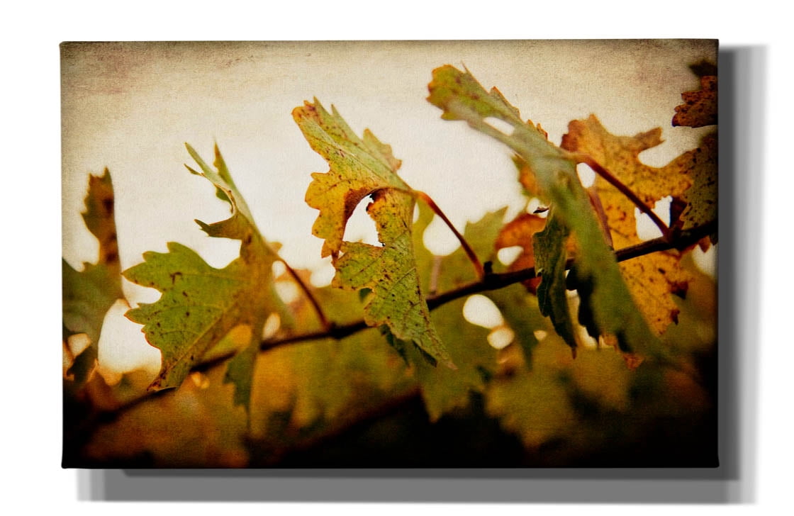 Epic Graffiti 'Sunset Vines' by Jessica Rogers, Canvas Wall Art, 40"x26 ...