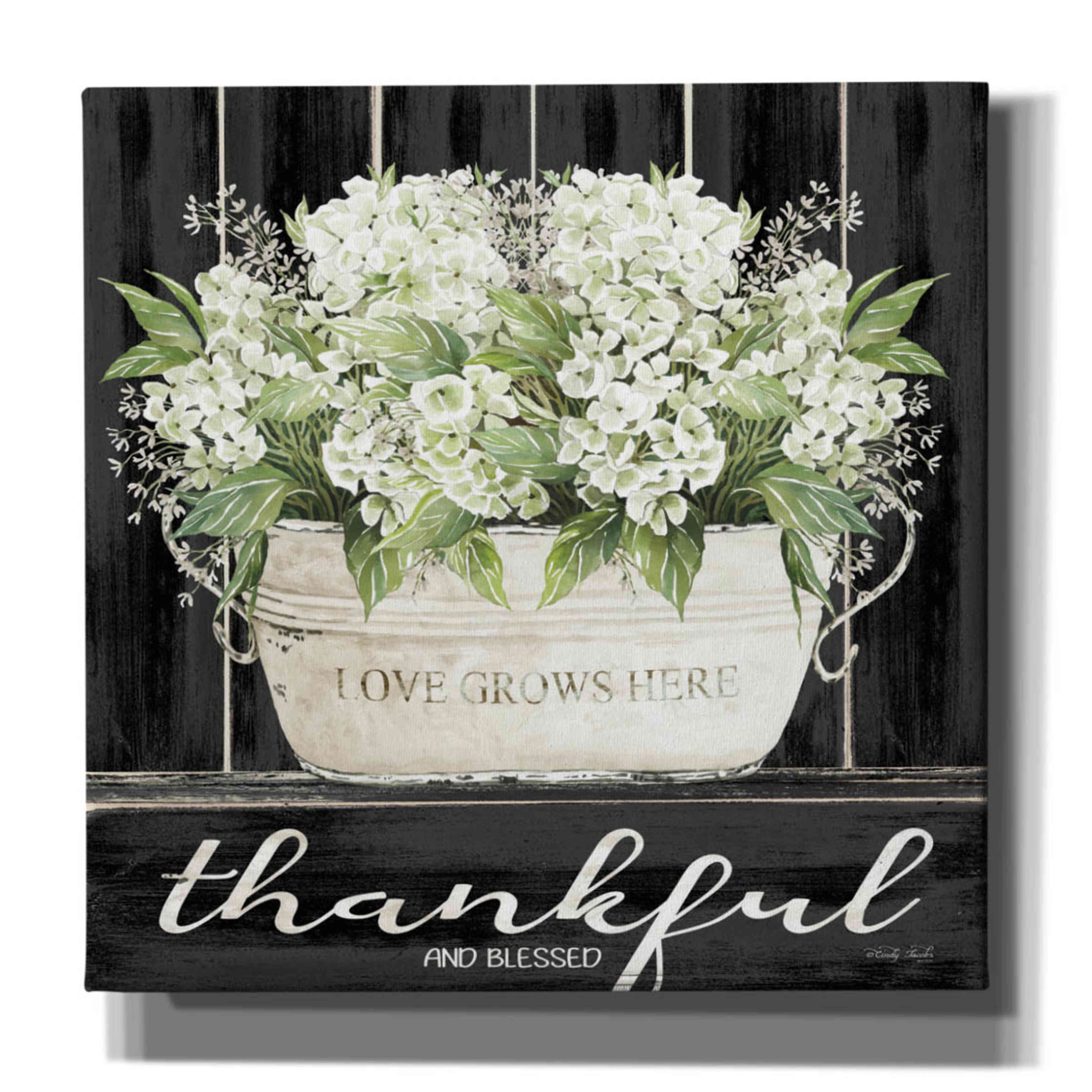 Epic Graffiti 'Thankful & Blessed' by Cindy Jacobs, Canvas Wall Art, 12 ...