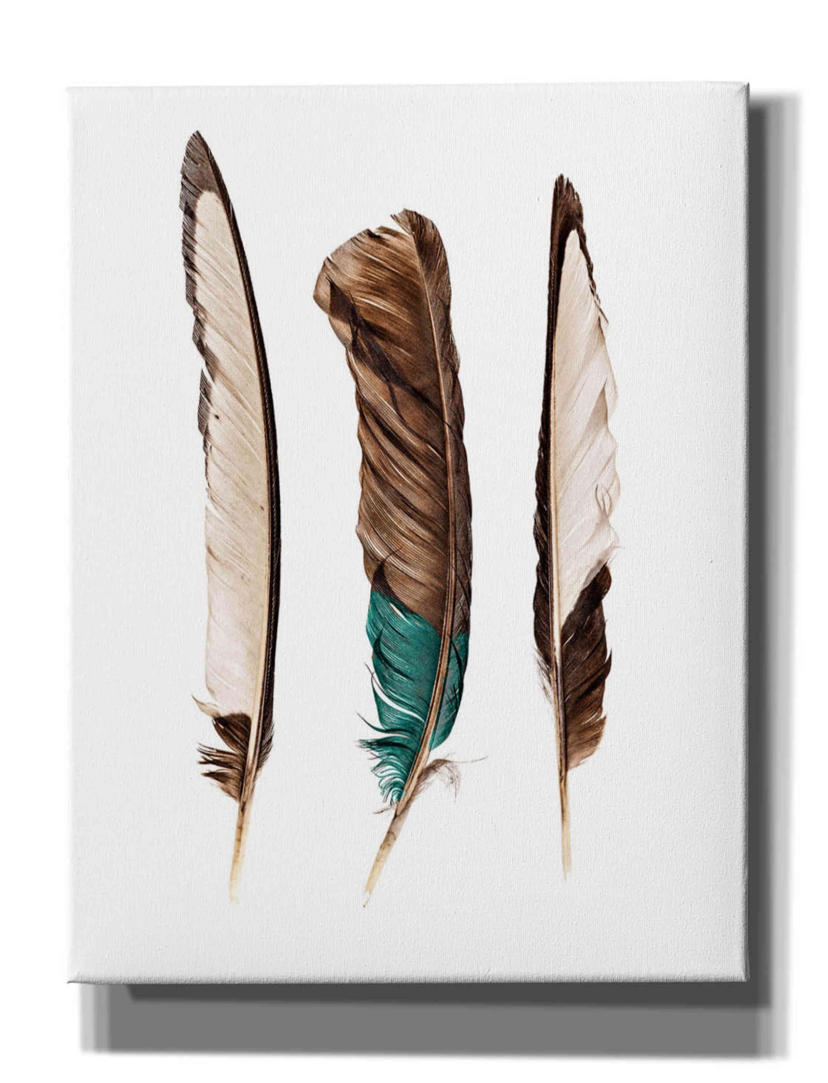 Epic Graffiti 'Three Feathers' by Incado, Giclee Canvas Wall Art, 26 ...