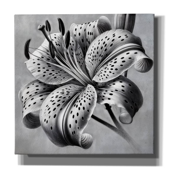 Epic Graffiti 'Tiger Lily Flower' by Rey Klimt Canvas Wall Art, 26" x ...