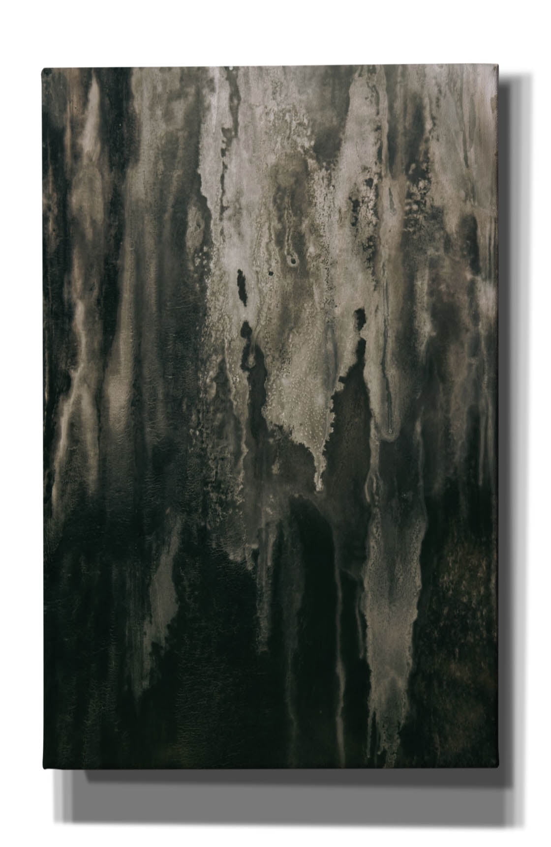 Epic Graffiti 'Tim Mossholder' by Svetlana Aleynikova Canvas Wall Art ...