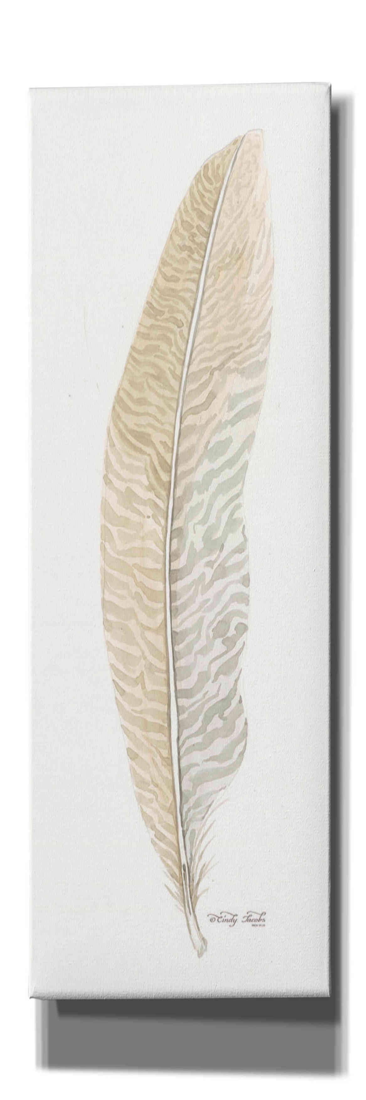 Epic Graffiti 'Tonal Feather I' by Cindy Jacobs, Canvas Wall Art, 20 ...