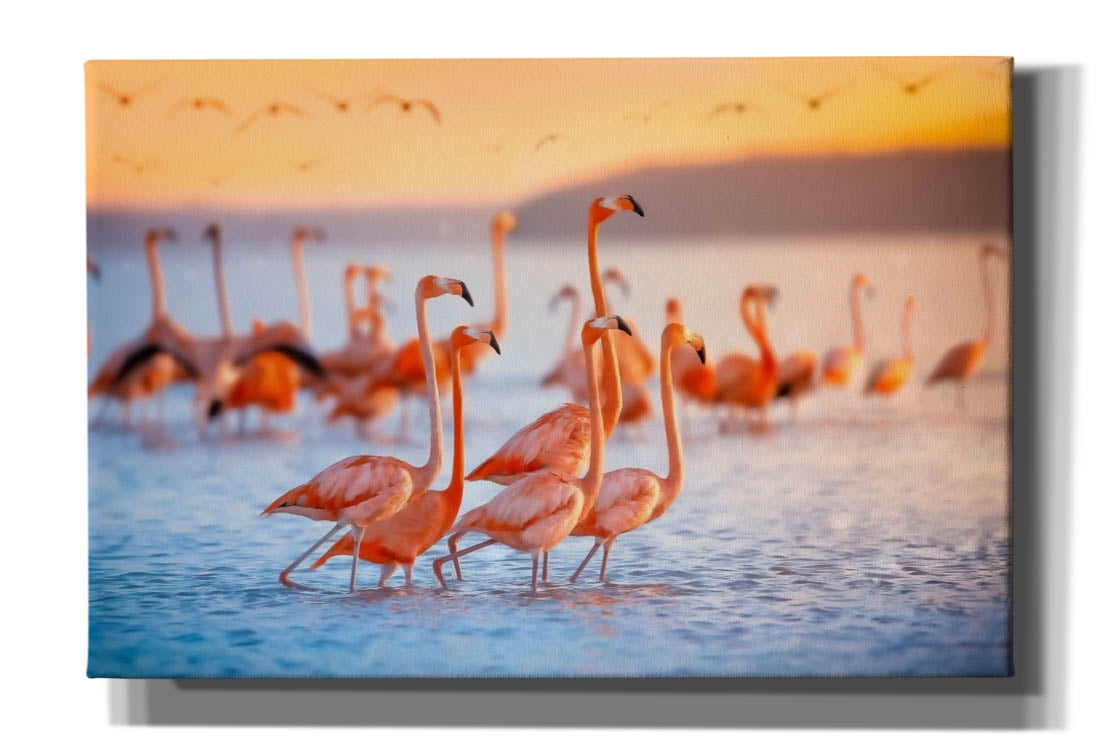 Epic Graffiti 'Wading Flamingos' by Jonathan Ross, Canvas Wall Art, 60 ...