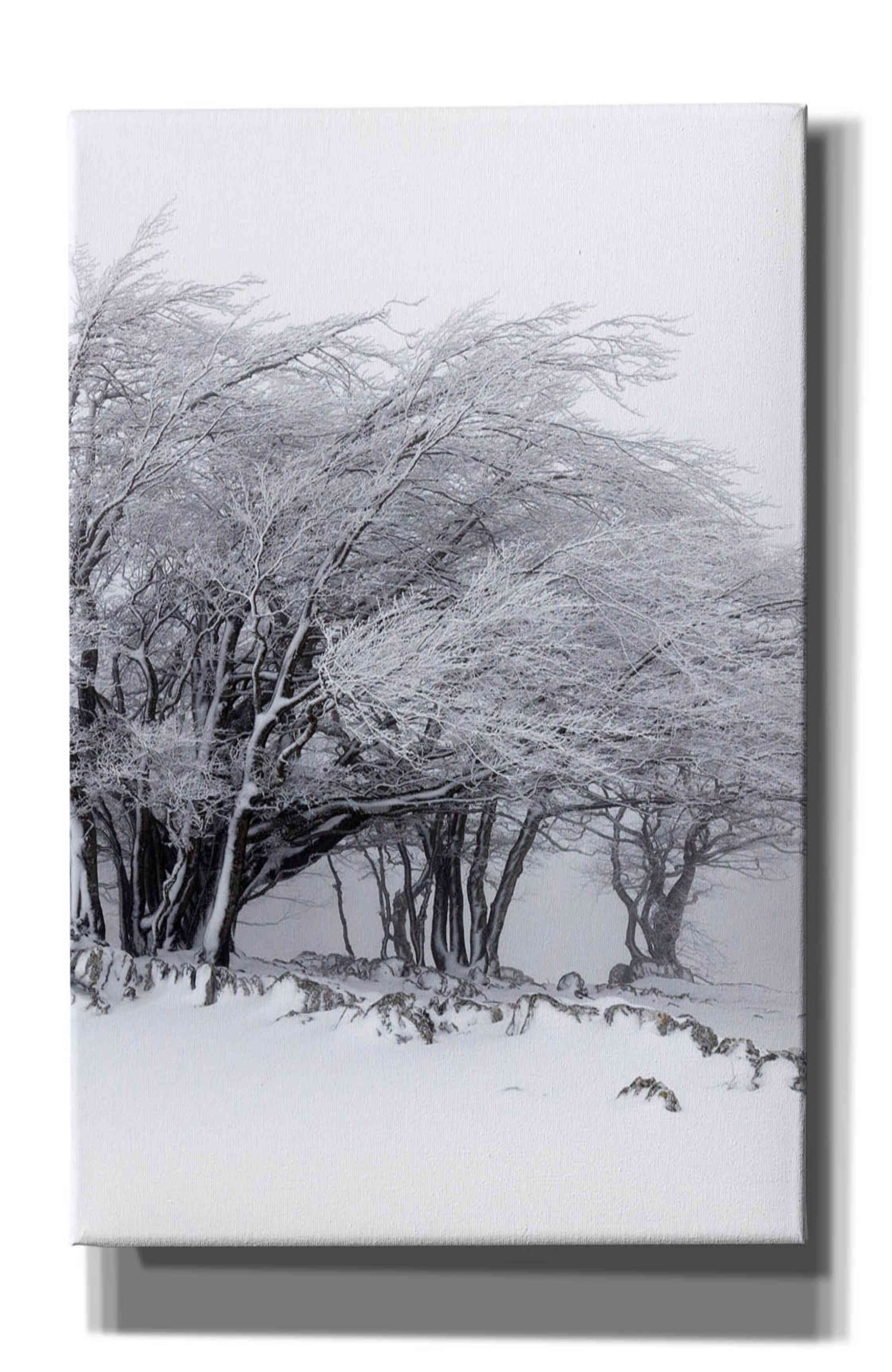 Epic Graffiti 'Winter Storm' by Incado, Giclee Canvas Wall Art, 26"x40 ...