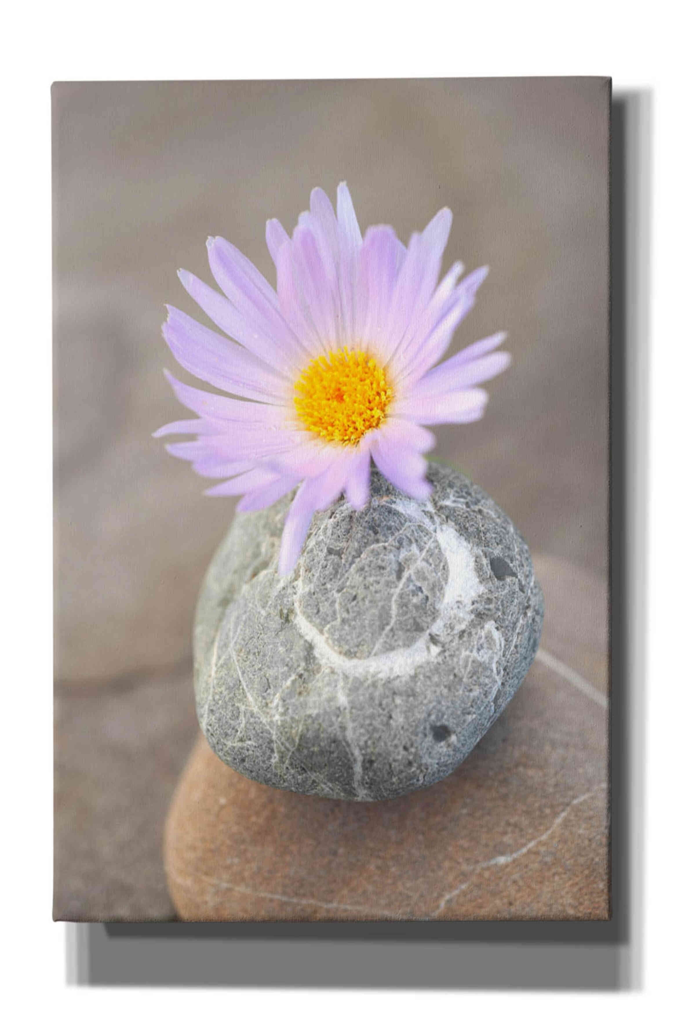 Epic Graffiti 'Zen Flower Meditation' by Elena Ray, Canvas Wall Art, 12 ...