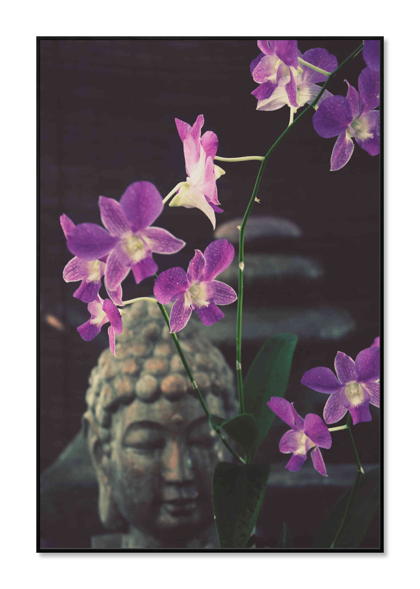 Epic Graffiti "Zen Purple Orchids" Framed High Gloss Acrylic Wall Art ...