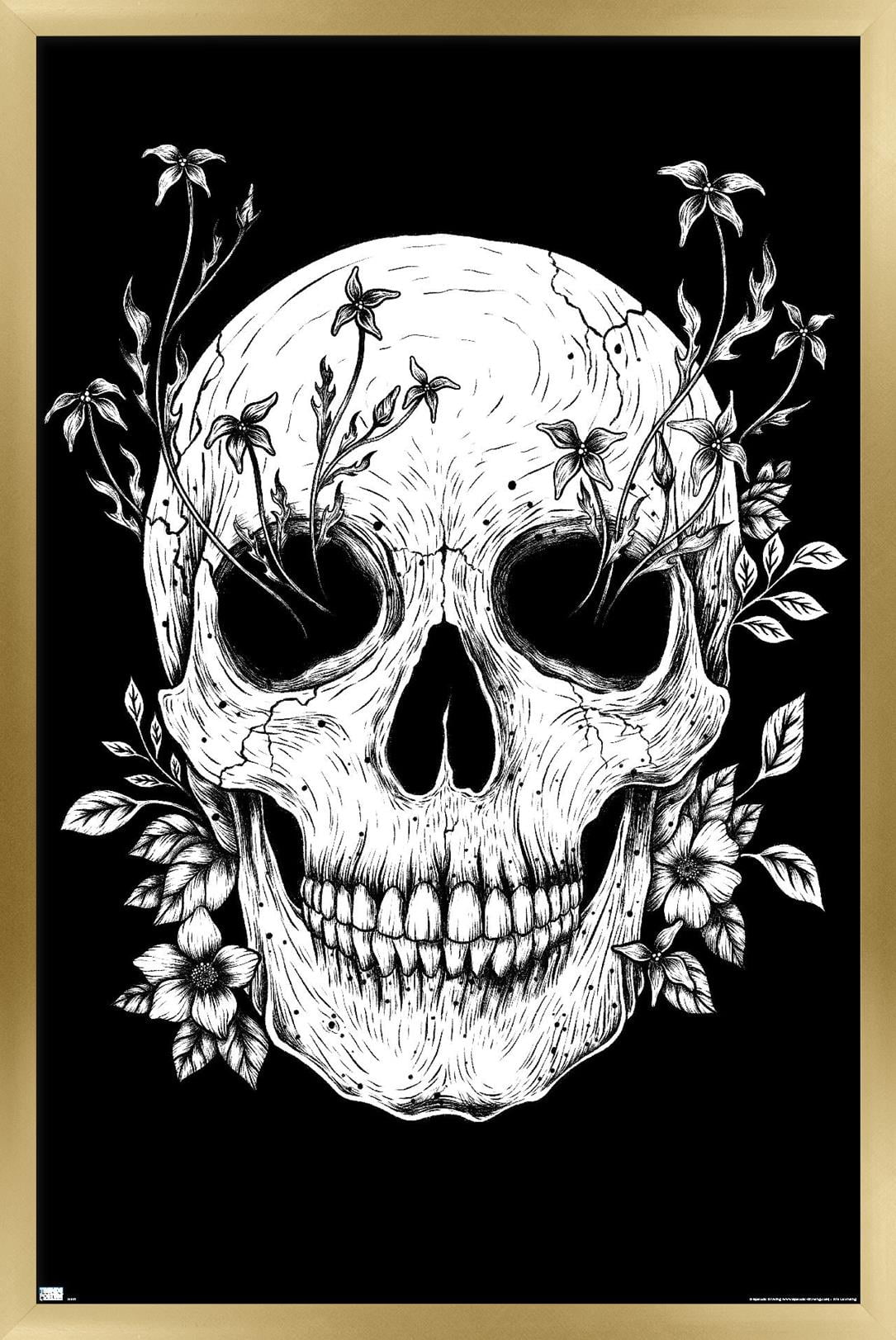 Episodic Drawing - Floral Skull Wall Poster, 22.375" x 34" Framed ...