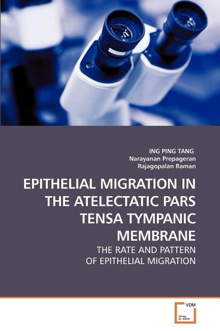 Epithelial Migration in the Atelectatic Pars Tensa Tympanic Membrane ...
