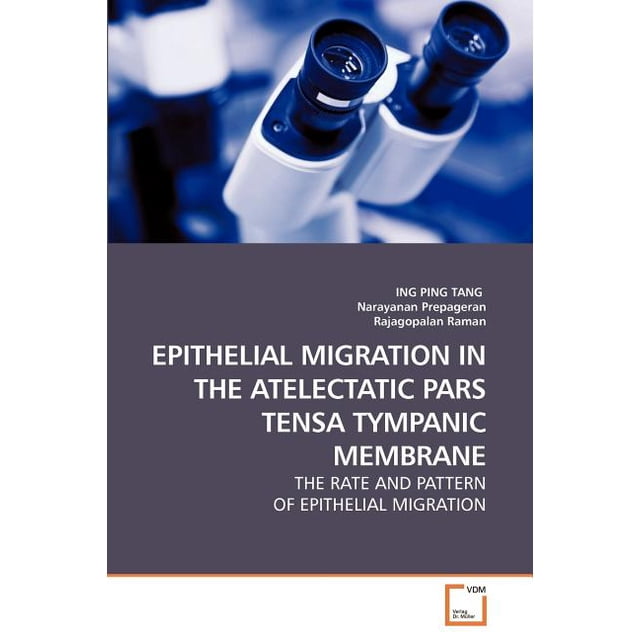 Epithelial Migration in the Atelectatic Pars Tensa Tympanic Membrane ...