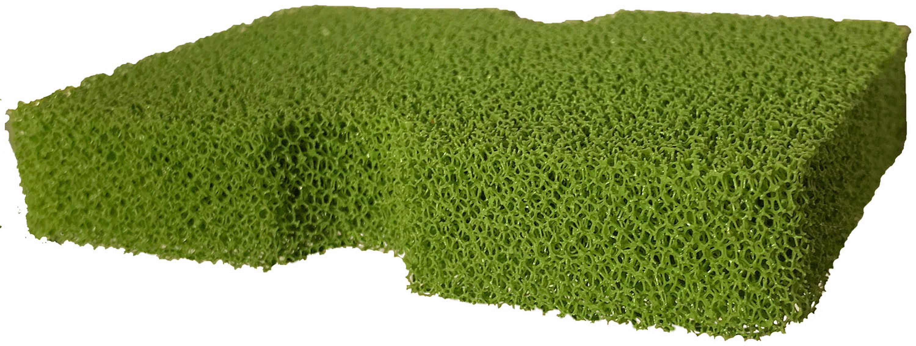 Epona Tacknology Tack Sponge Moss - Walmart.com