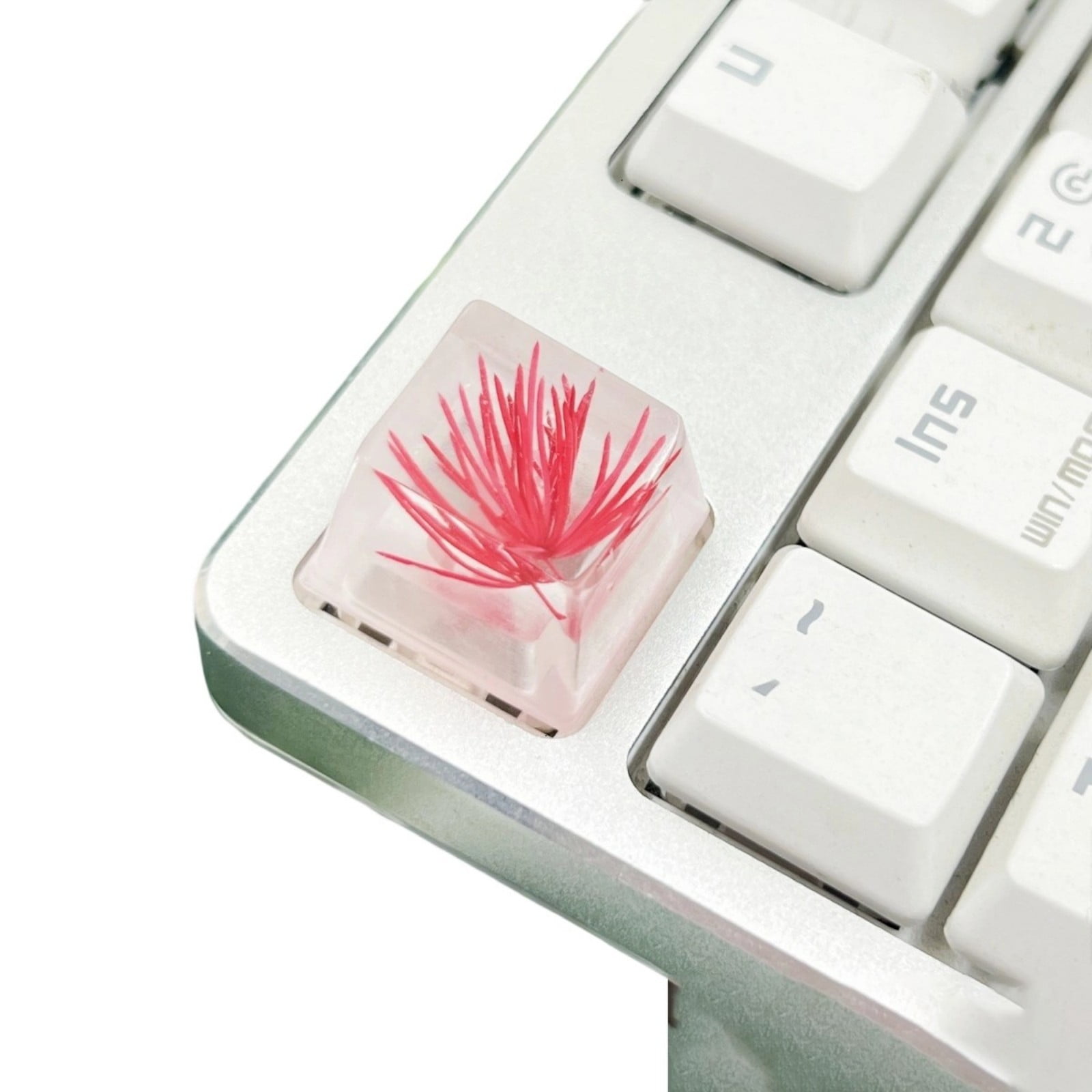 Epoxy Keycap OEM Height High Translucency Featuring Preserved Flowers ...