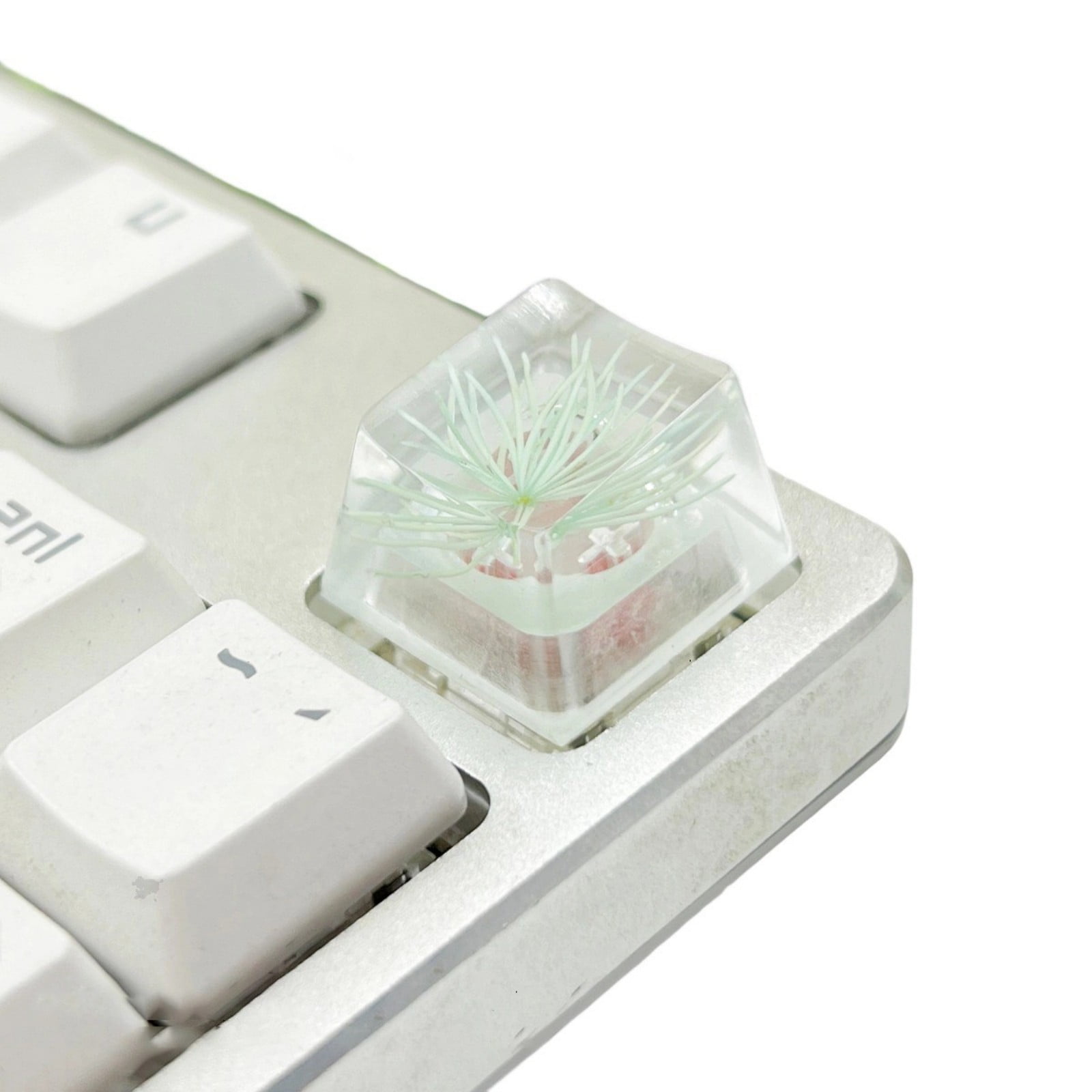 Epoxy Keycap OEM Height High Translucency Featuring Preserved Flowers ...