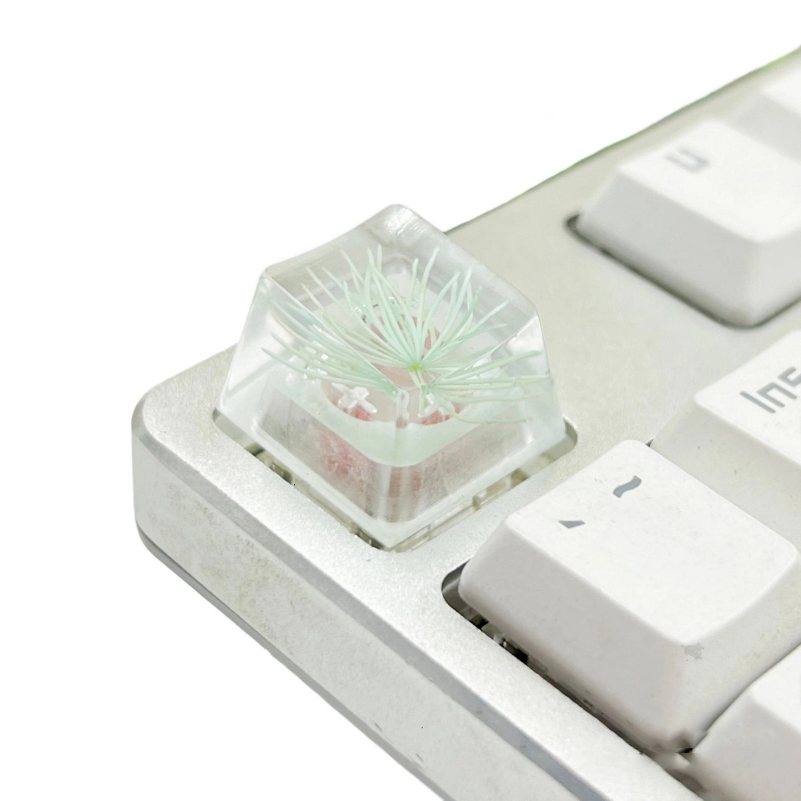 Epoxy Keycap OEM Height High Translucency Featuring Preserved Flowers ...