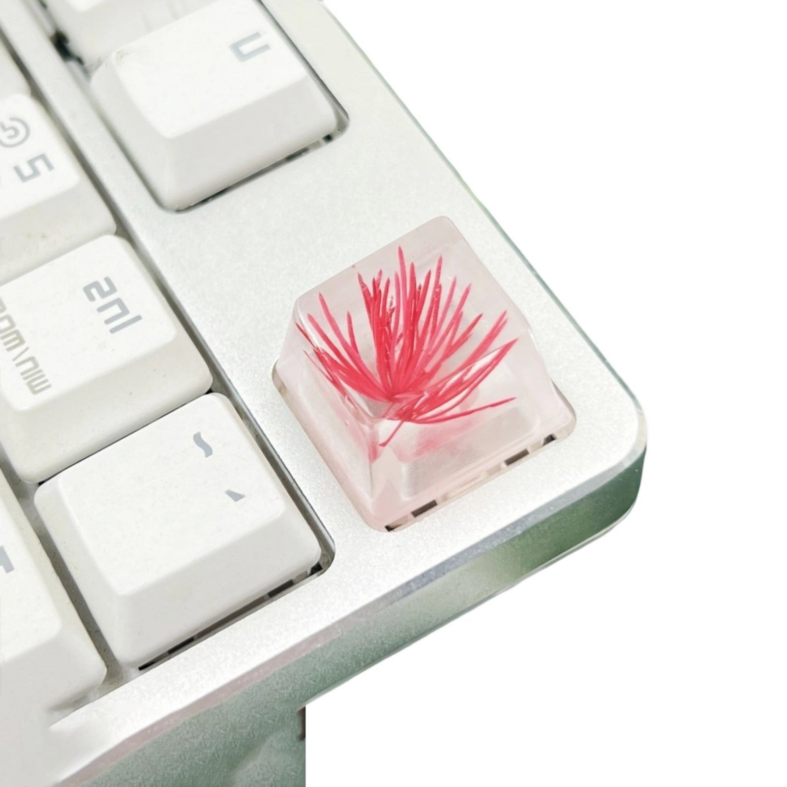 Epoxy Keycap OEM Height High Translucency Featuring Preserved Flowers ...