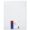 Epson Cold Press Bright Fine Art Paper, 17 x 22, Bright White, 25 ...