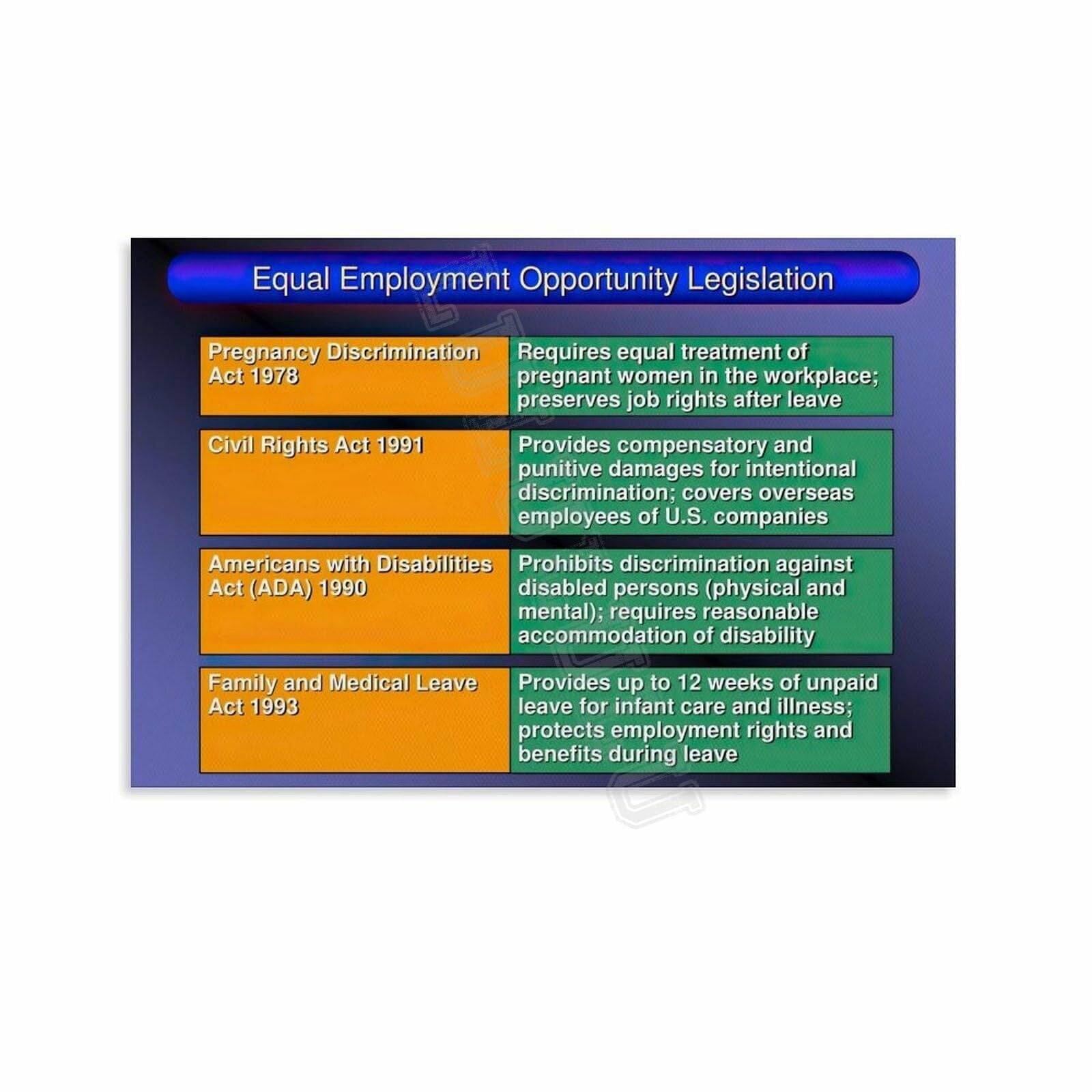 Equal Employment Opportunity Legislation Poster (1) Canvas Painting ...