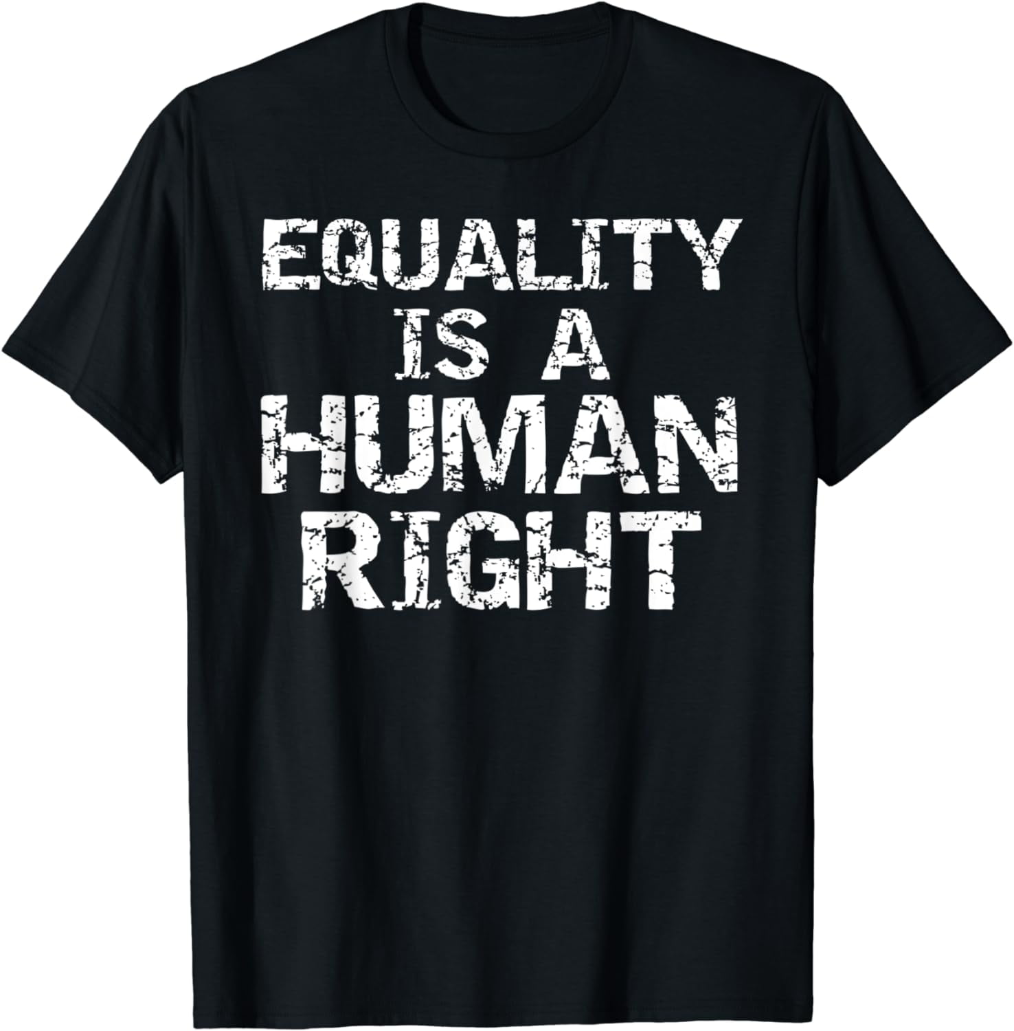 Equal Rights Liberal Leftist Quote Equality is a Human Right T-Shirt ...