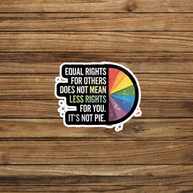 Equal Rights For Others Doesn'T Mean Less For You Pie Chart ...