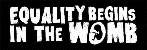 Equality Begins in the Womb Grunge Pro-Life Bumper Sticker - Walmart.com