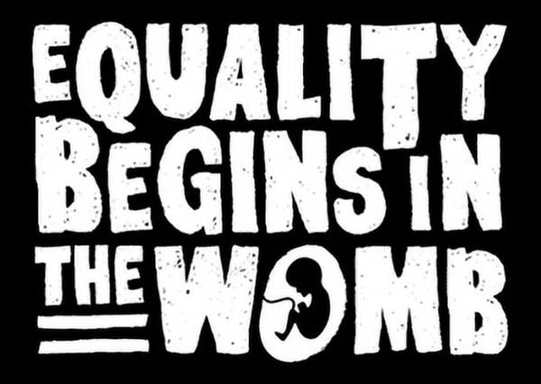 Equality Begins in the Womb Pro-Life Vinyl Sign - Walmart.com
