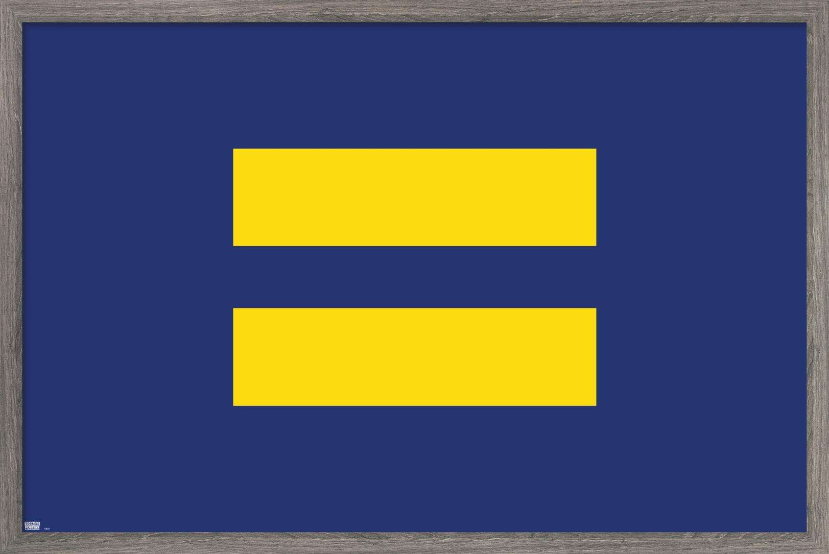 Equality Wall Poster, 22.375" x 34", Framed - Walmart.com