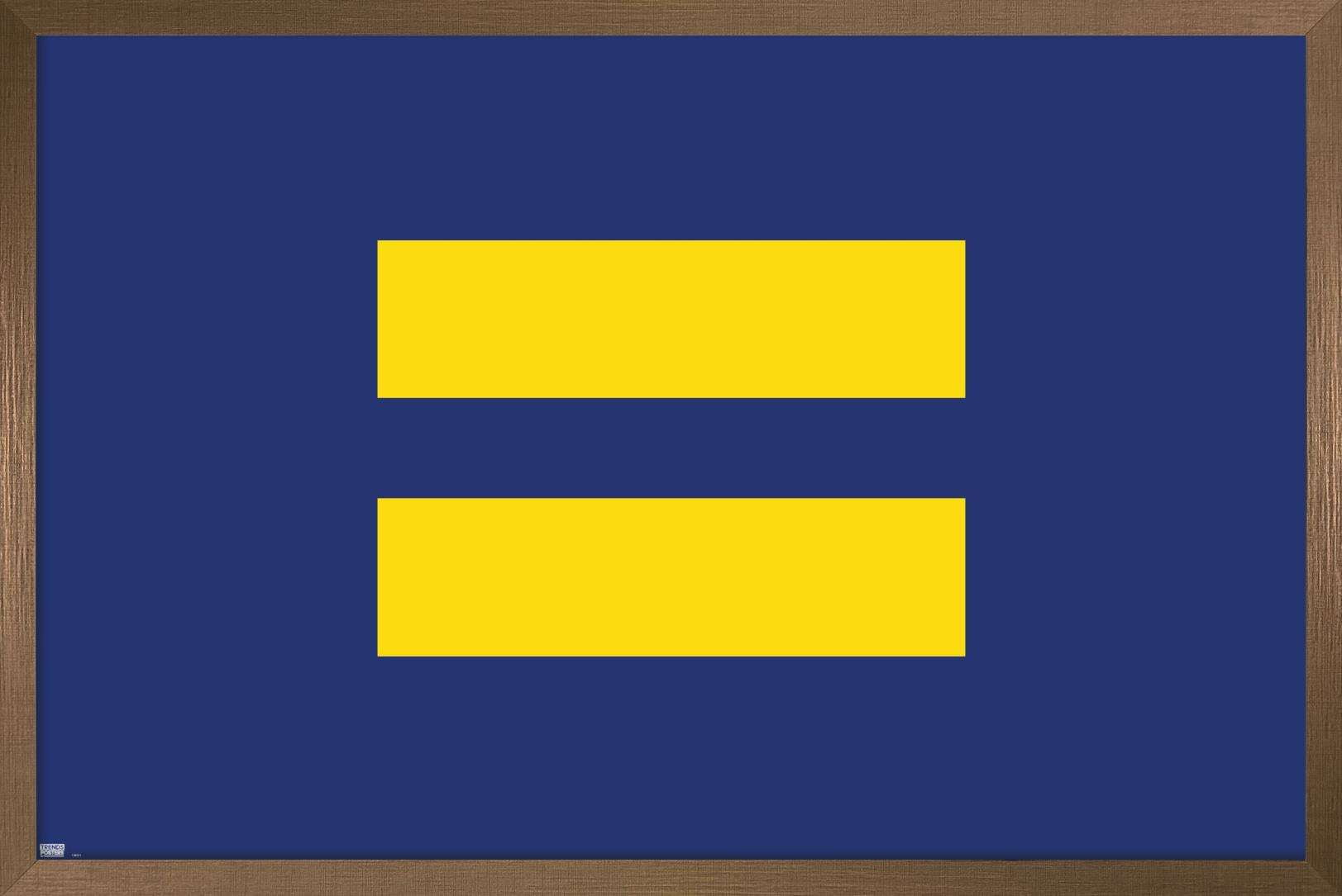Equality Wall Poster, 22.375" x 34", Framed - Walmart.com