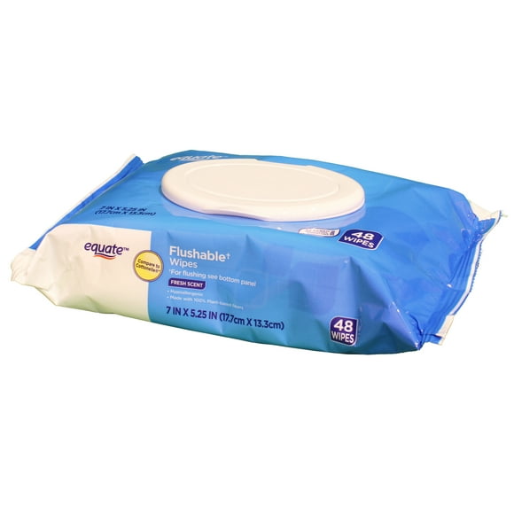 Equate Flushable Wipes