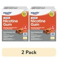 2 Pack Equate Nicotine Polacrilex Coated Gum 4 Mg Cinnamon Flavor