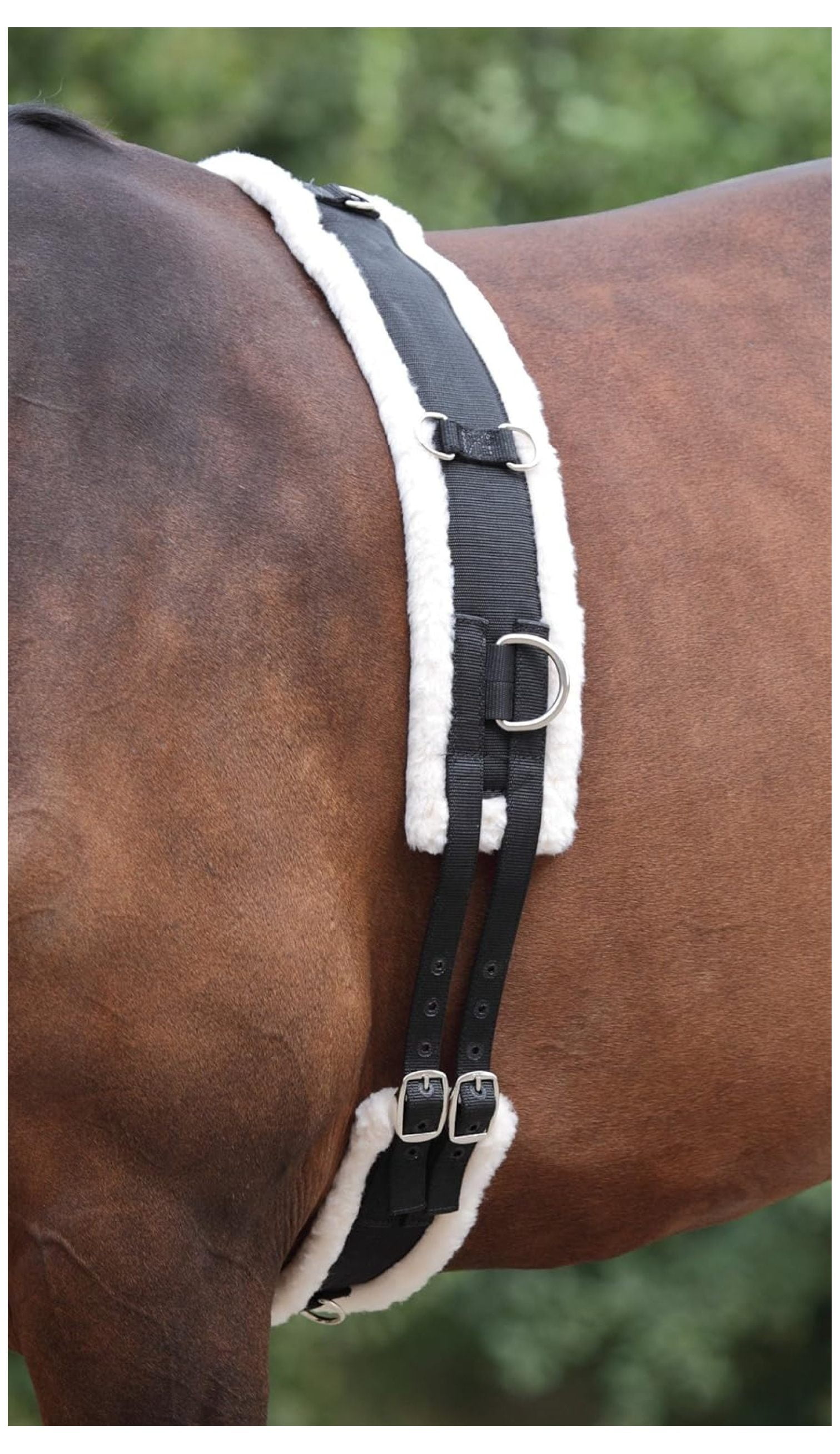 Equestrian Nylon Lunging with Fleece Padding - Walmart.com