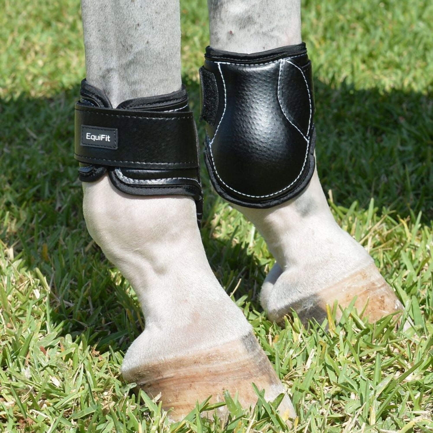 EquiFit Young Horse Hind Boots - Walmart.com