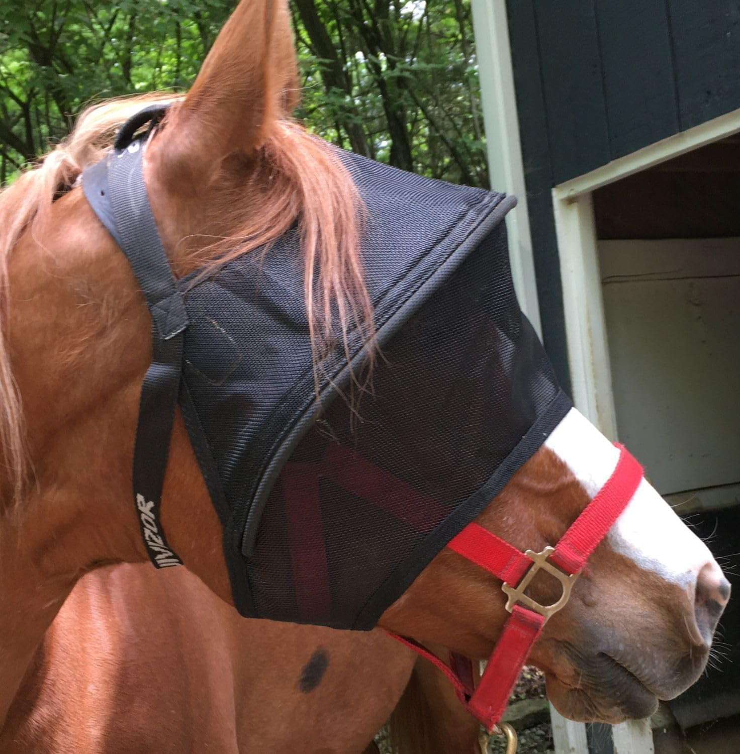 EquiVizor Solar Vizor Horse Fly Mask (Size Full), Superior UV Eye ...