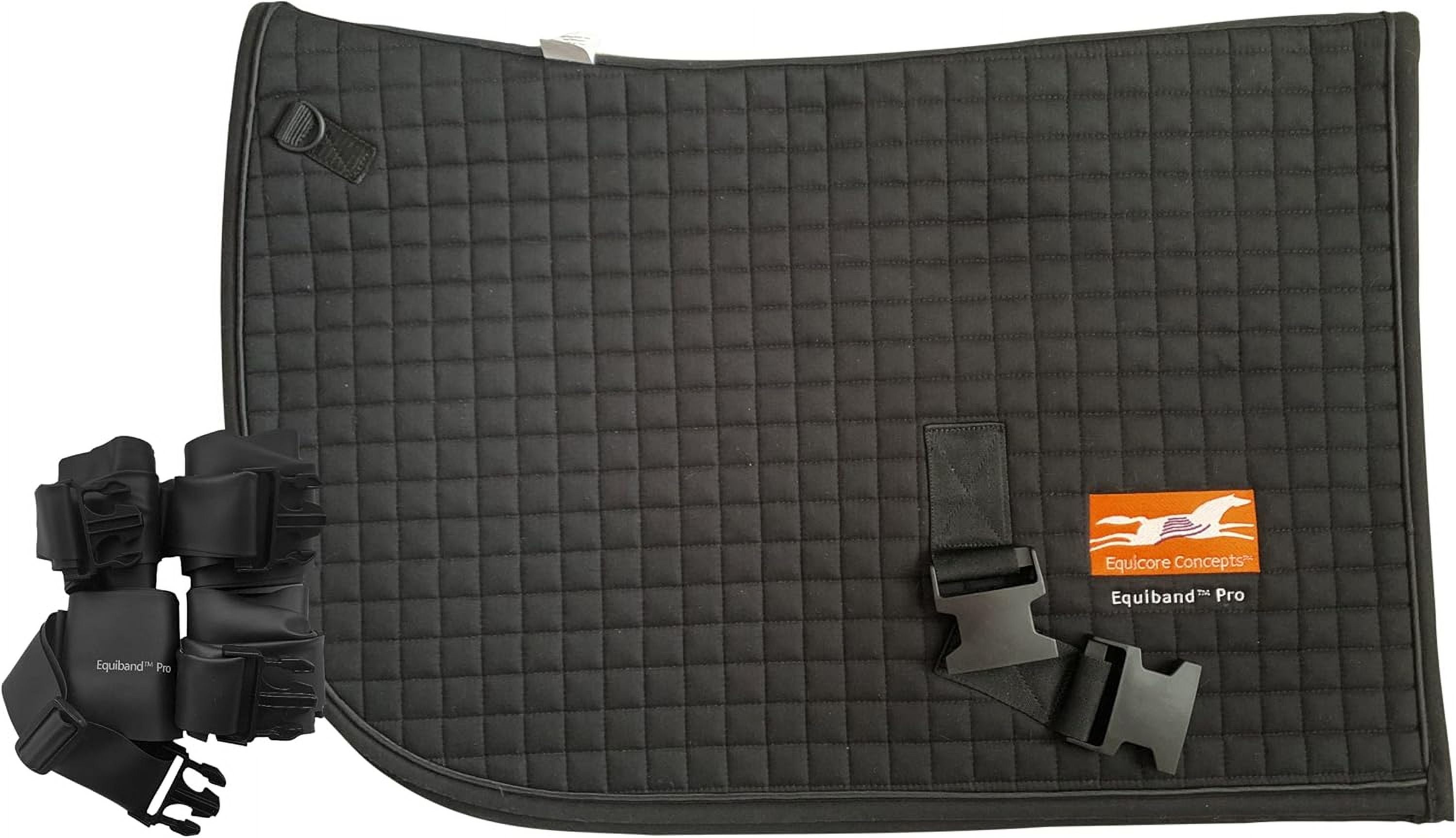 Equicore Concepts Complete System, Western - Walmart.com