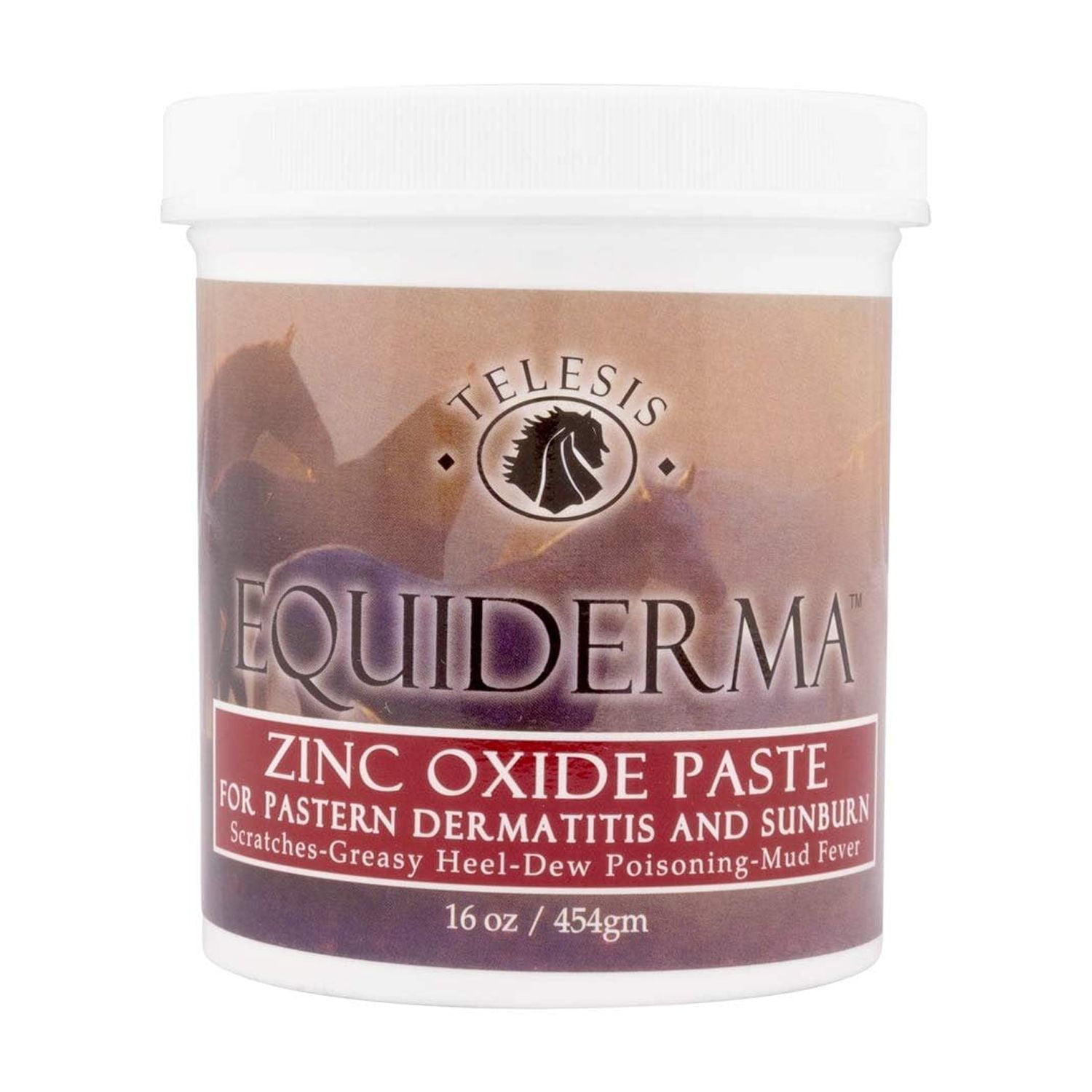 Equiderma, Zinc Oxide Paste, 16 oz, Sunblock for Horse Skin Damages ...