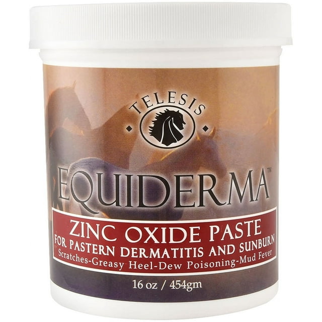 Equiderma-Bci Equiderma Zinc Oxide Paste 16oz - Walmart.com
