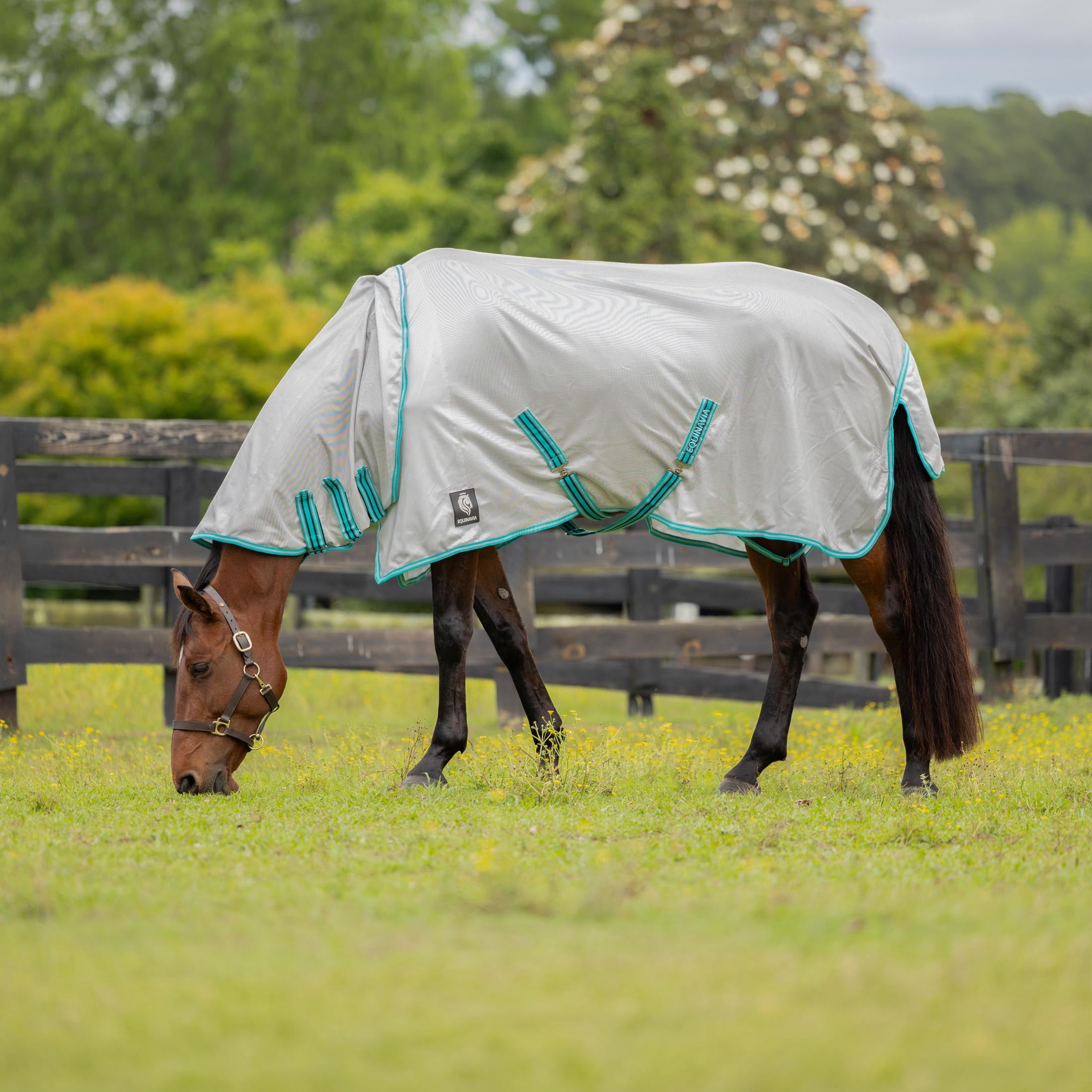 Equinavia Brisk Fly Sheet with Detachable Neck - Walmart.com