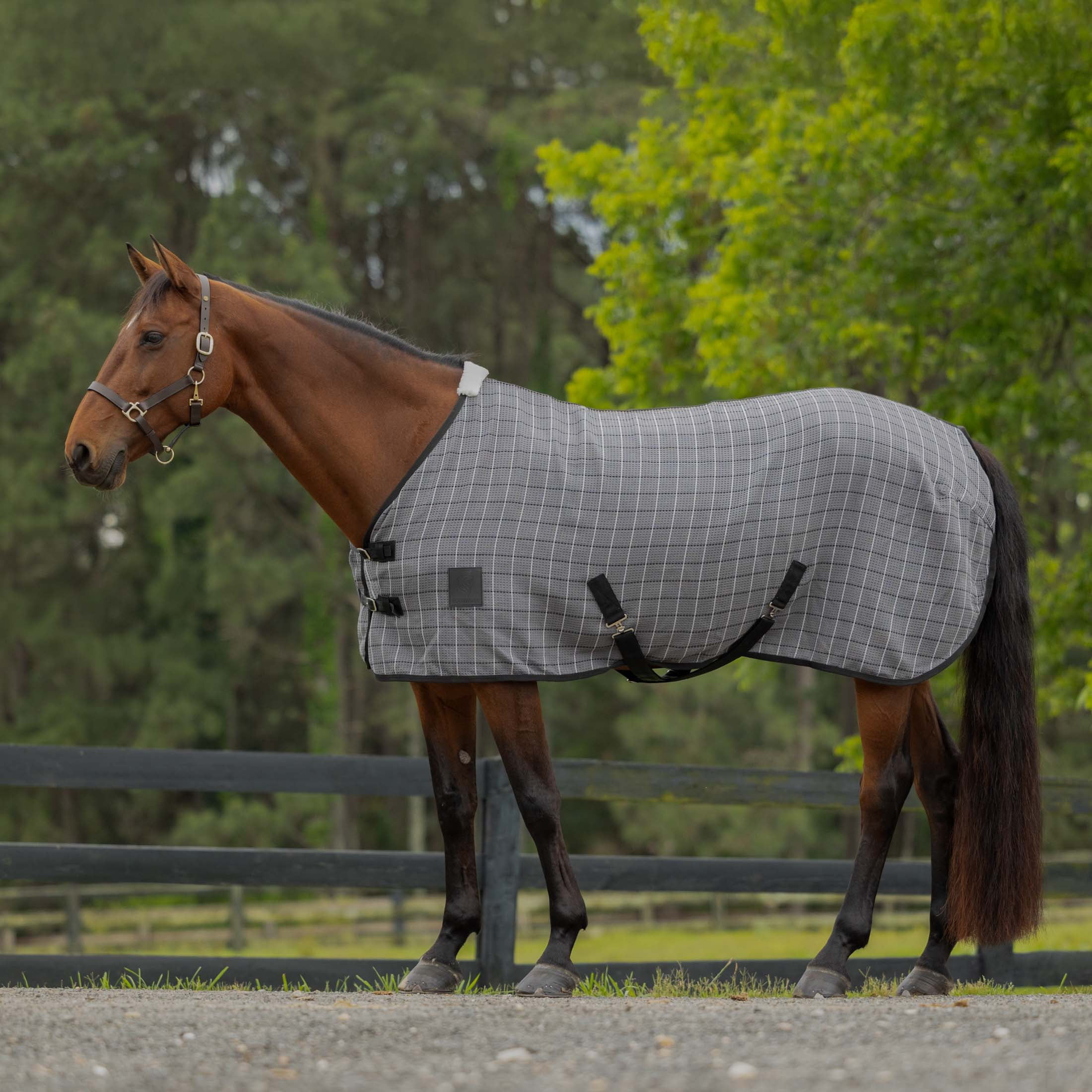 Equinavia Luftig Waffle Cooler - Walmart.com