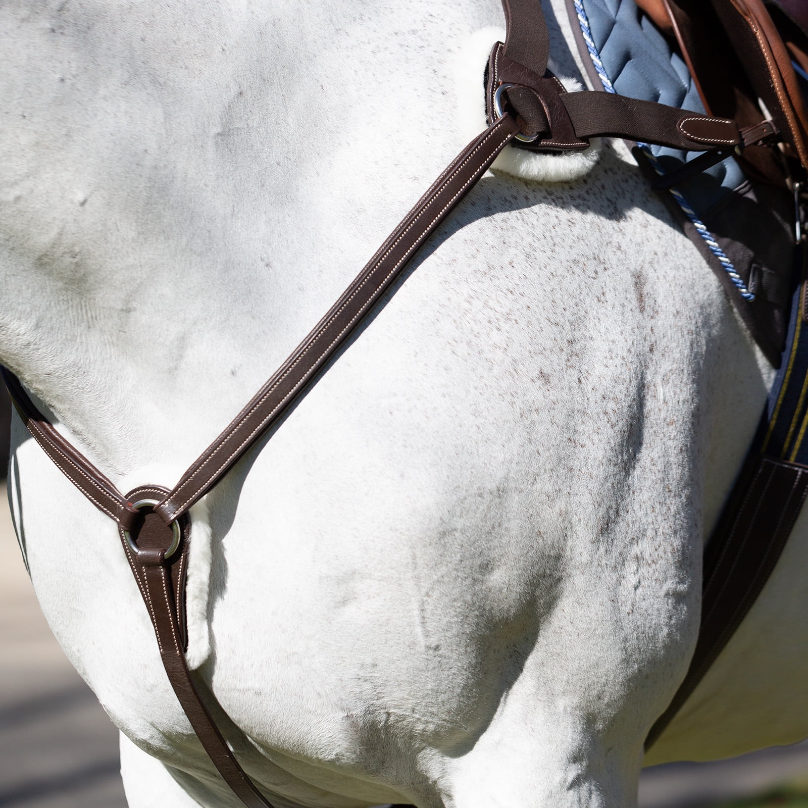 Equinavia Saga 5-point Breastplate - Walmart.com